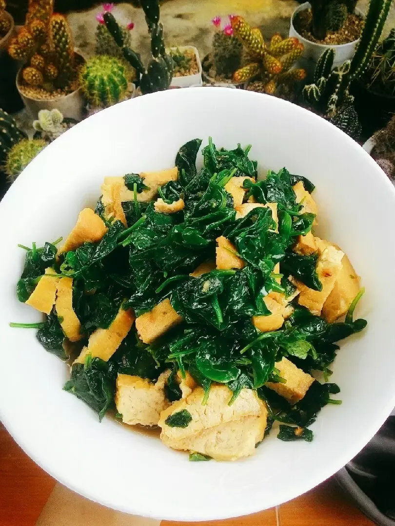 จะดีกว่ามั้ยคะ ถ้าเราปลูกผักไร้สารไว้ทานเองได้ | แกลเลอรีที่โพสต์โดย ...