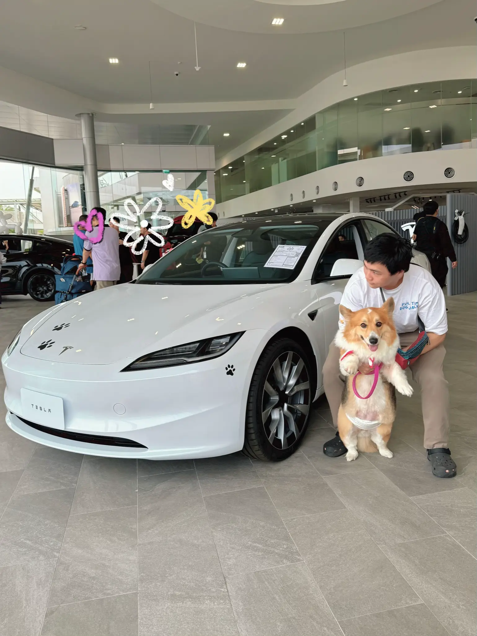 Tesla Pet Day | DRIVE WITH PAWS | แกลเลอรีที่โพสต์โดย Aew | Lemon8