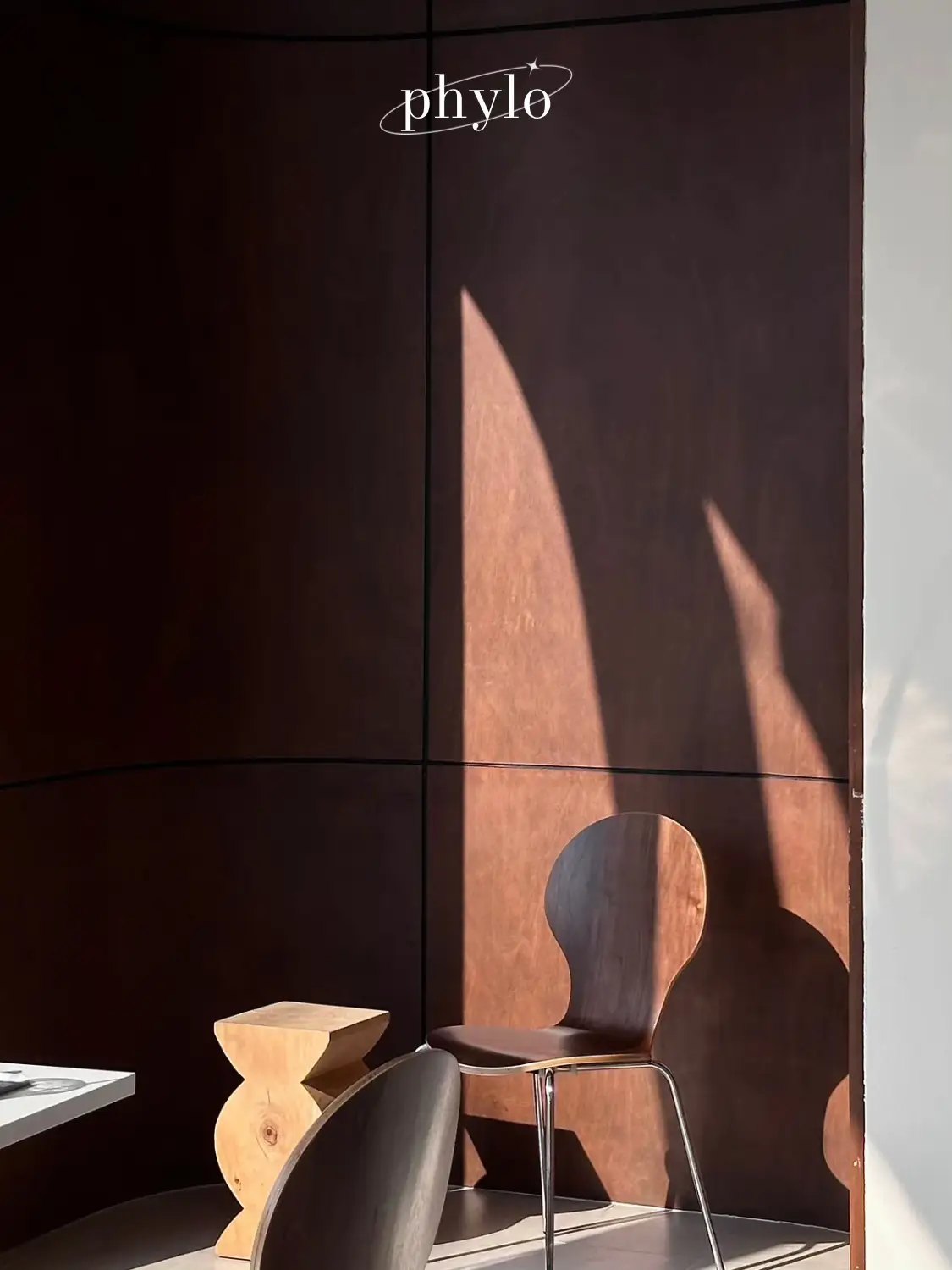 คาเฟ่แถวขุนหาญ - การค้นหาใน Lemon8