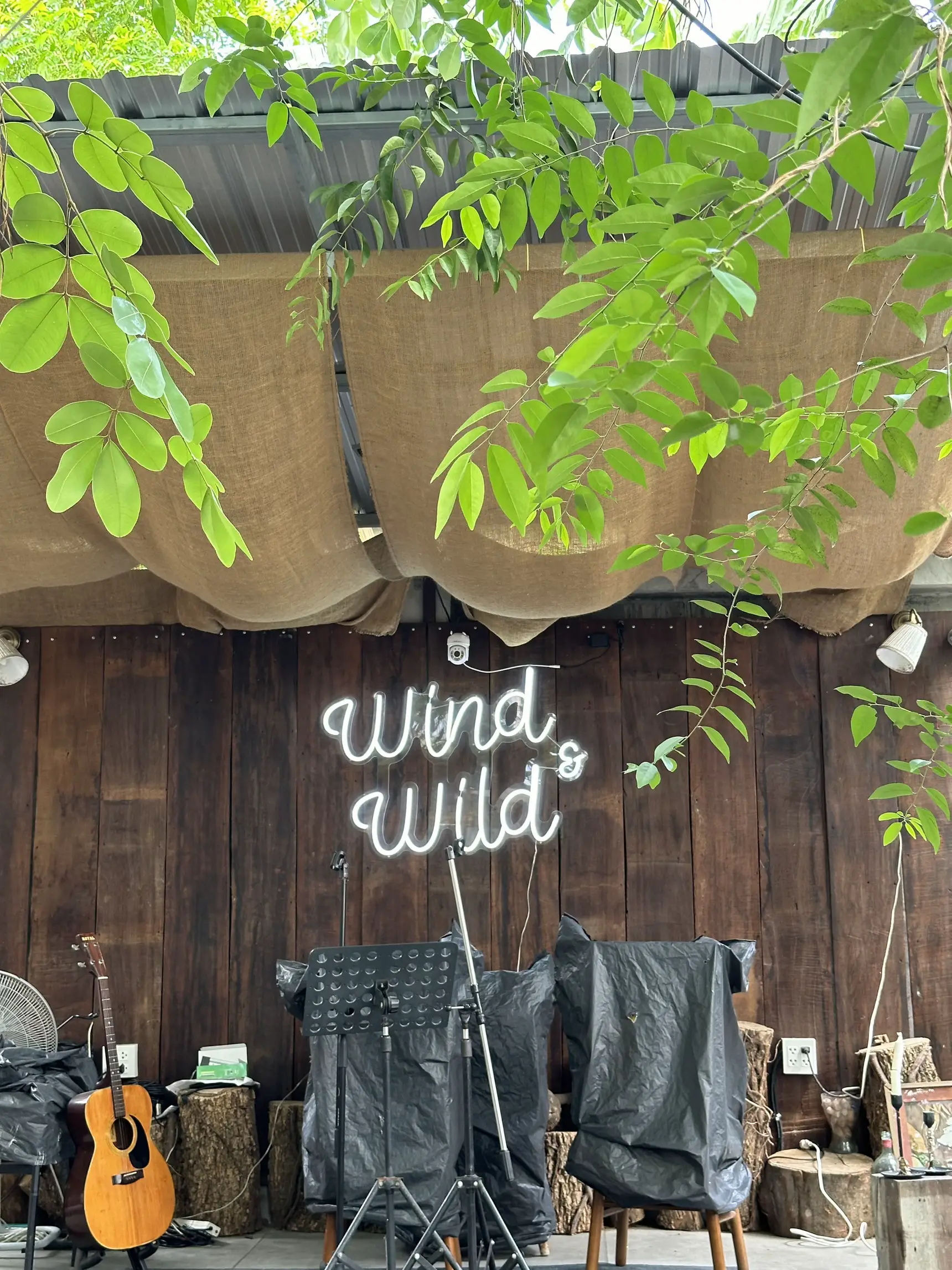 คาเฟ่ลับบางเขน @wind and wild cafe 🧸 | แกลเลอรีที่โพสต์โดย ไปกับแฟน ...