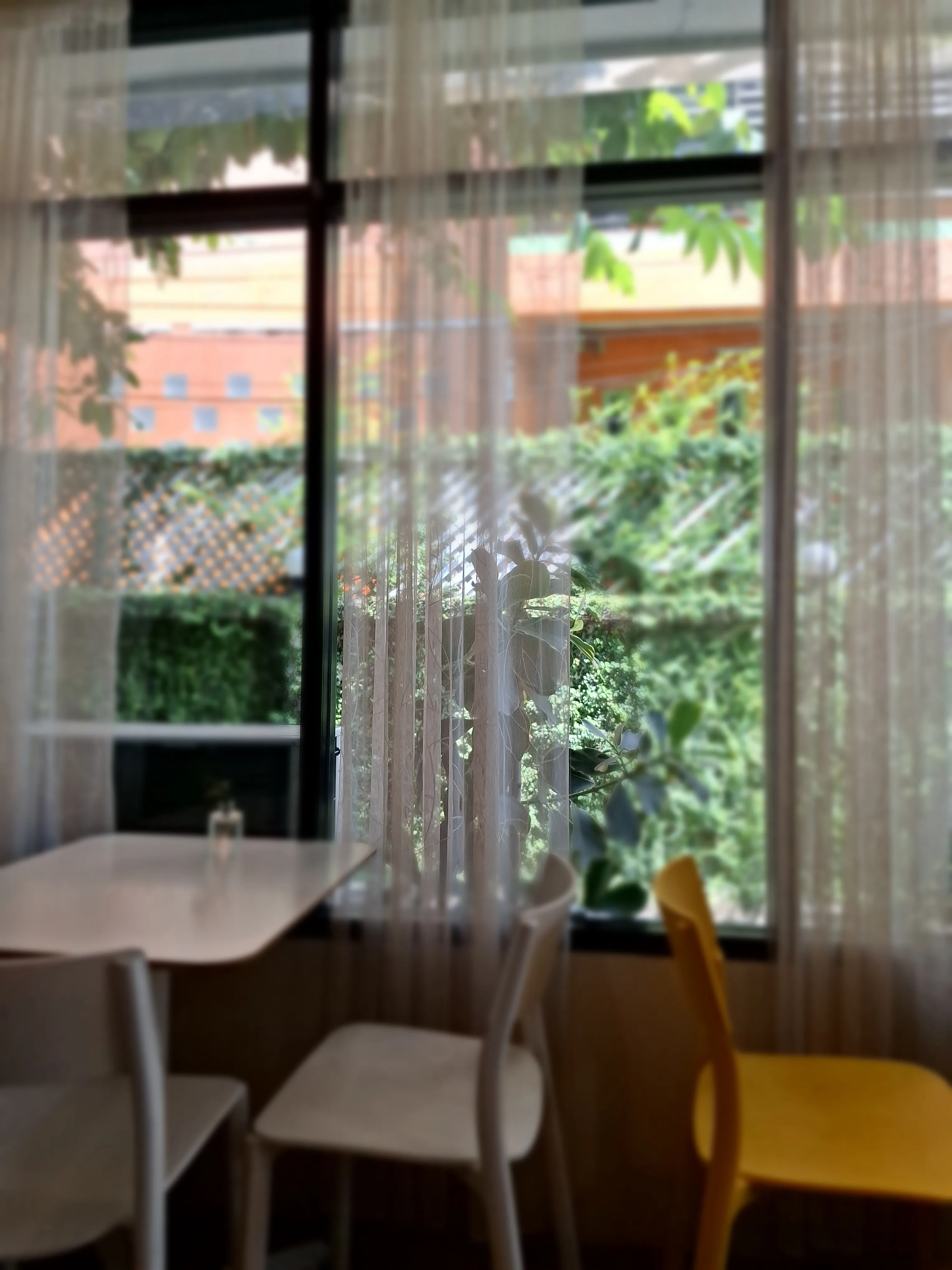 Chalamx - การค้นหาใน Lemon8