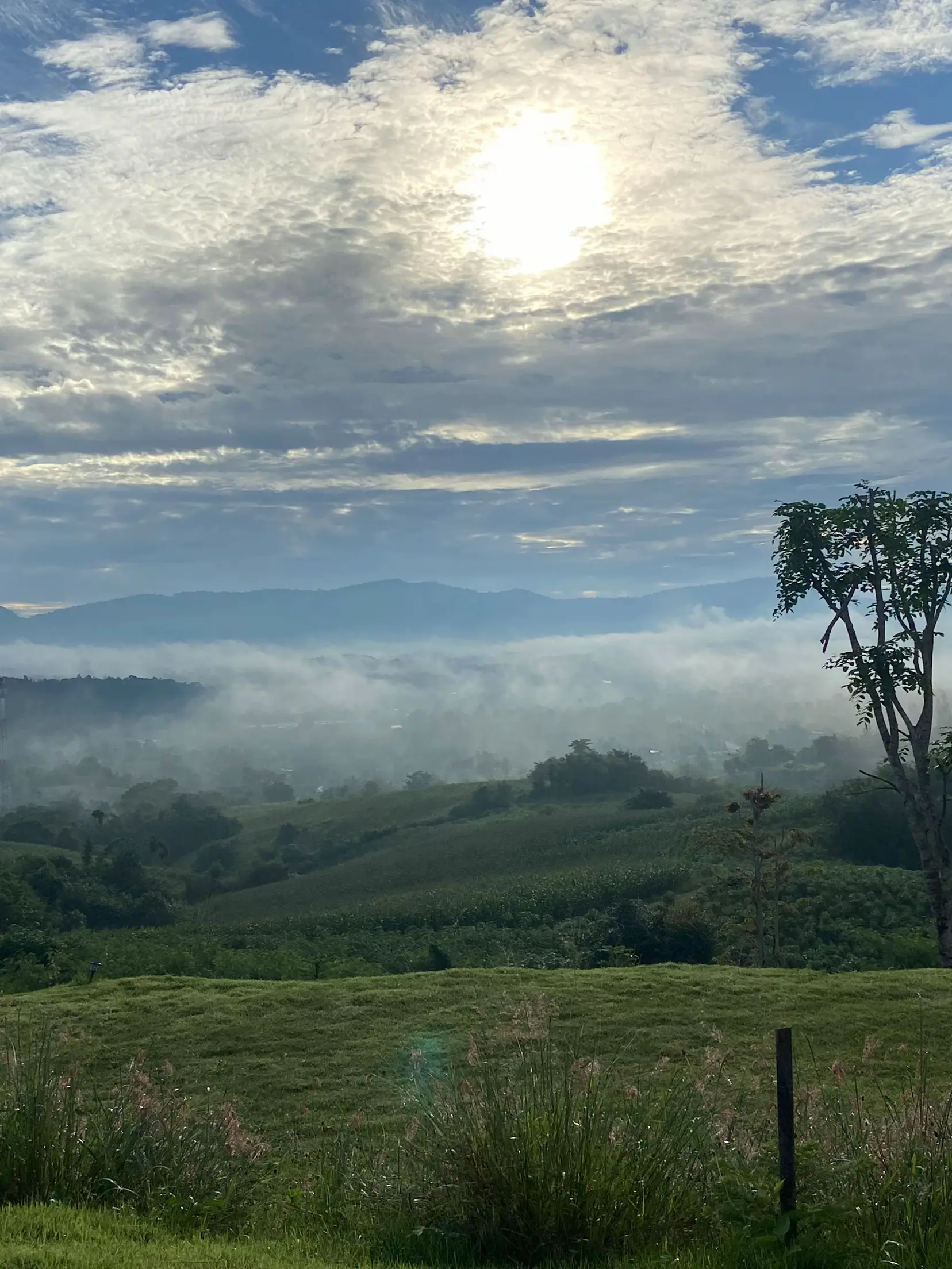 Camping | แกลเลอรีที่โพสต์โดย Pattana Tahen | Lemon8