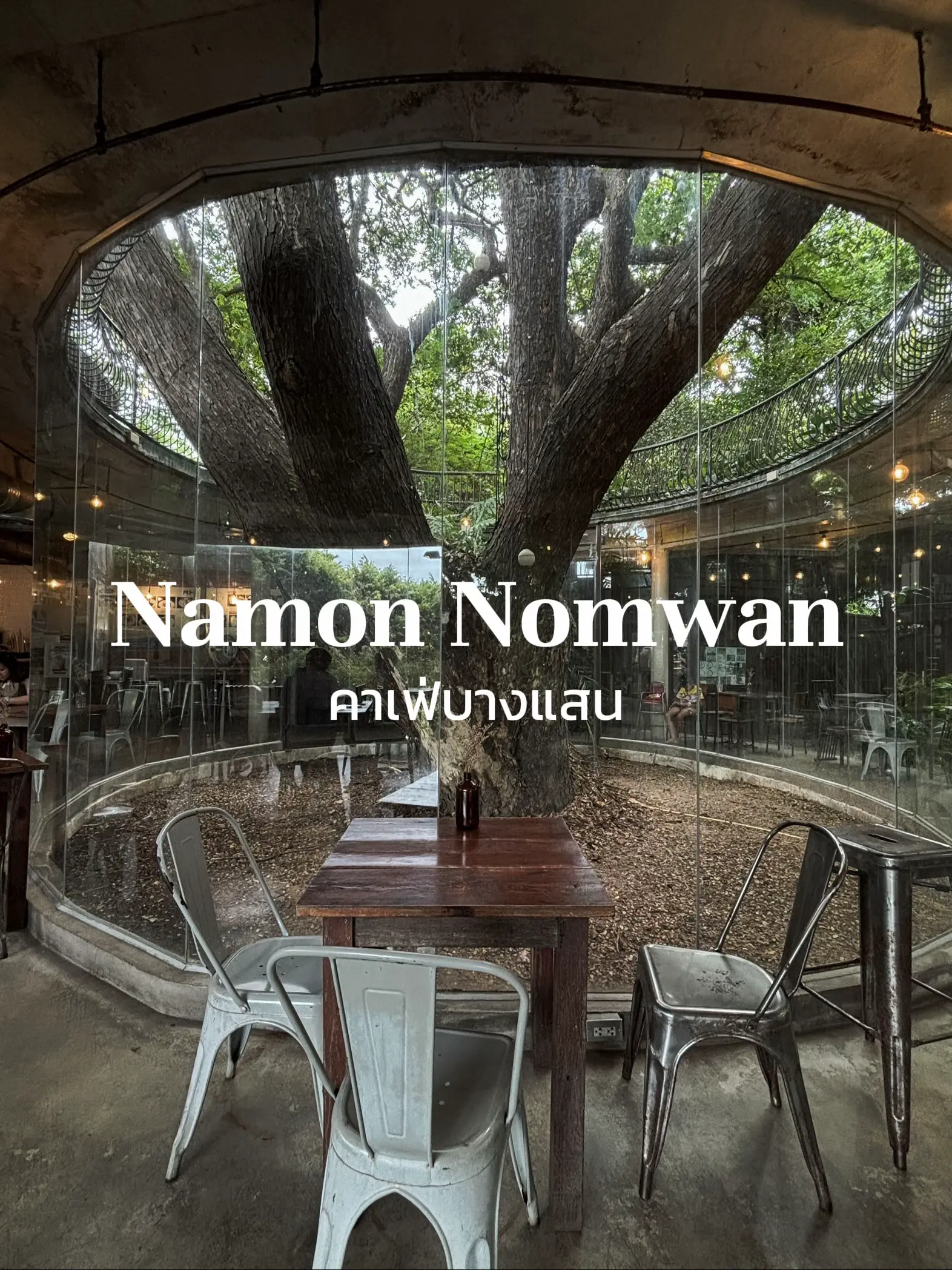 คาเฟ่บางแสน ธรรมชาติ มุมถ่ายรูปจึ้ง | วิดีโอที่เผยแพร่โดย PangHom🍅 | Lemon8