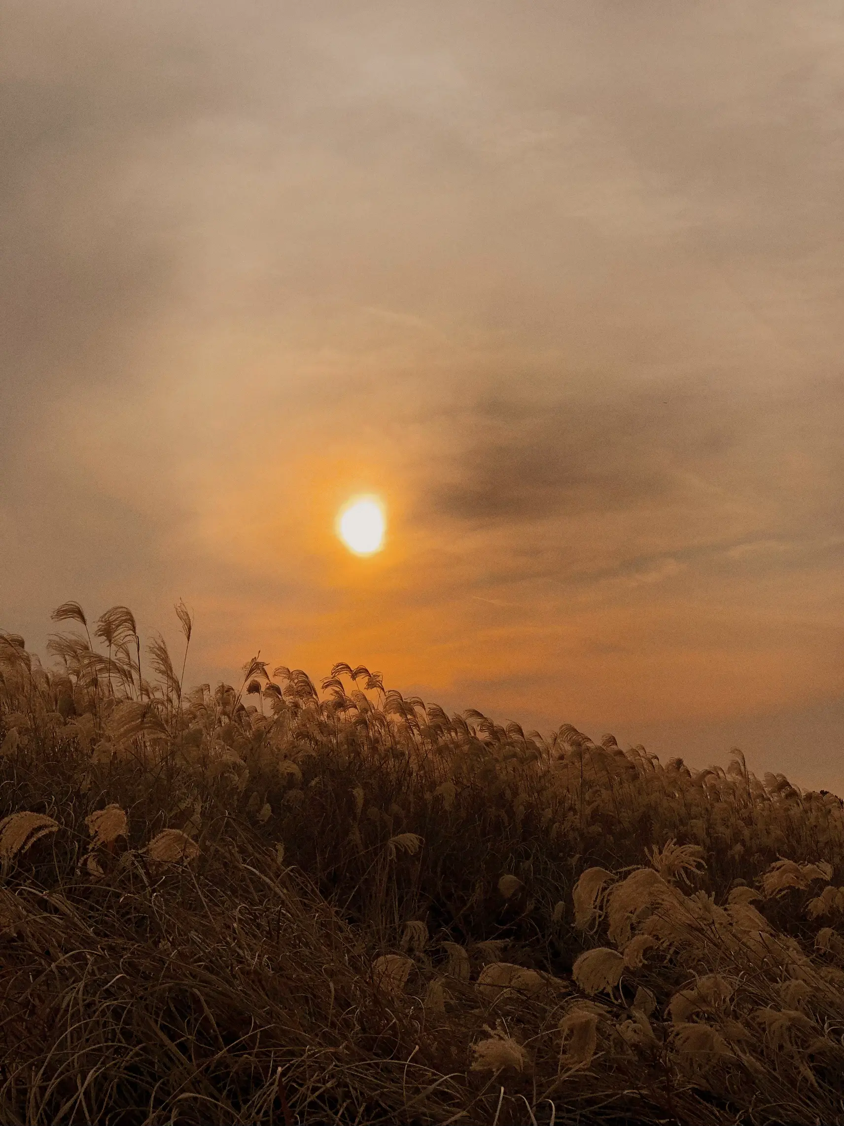 Sunset 🌅 | Gallery posted by A. | Lemon8