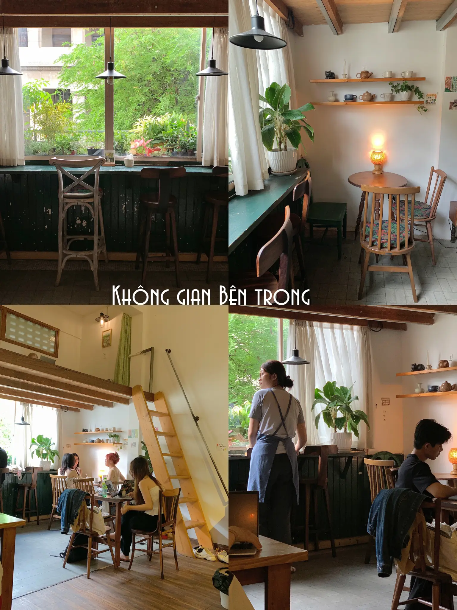 HARU CAFE* QUÁN CAFE CÓ CHỦ LÀ NGƯỜI HÀN QUỐC 🇰🇷☕️ | Bộ sưu tập do Sìn Chương đăng | Lemon8