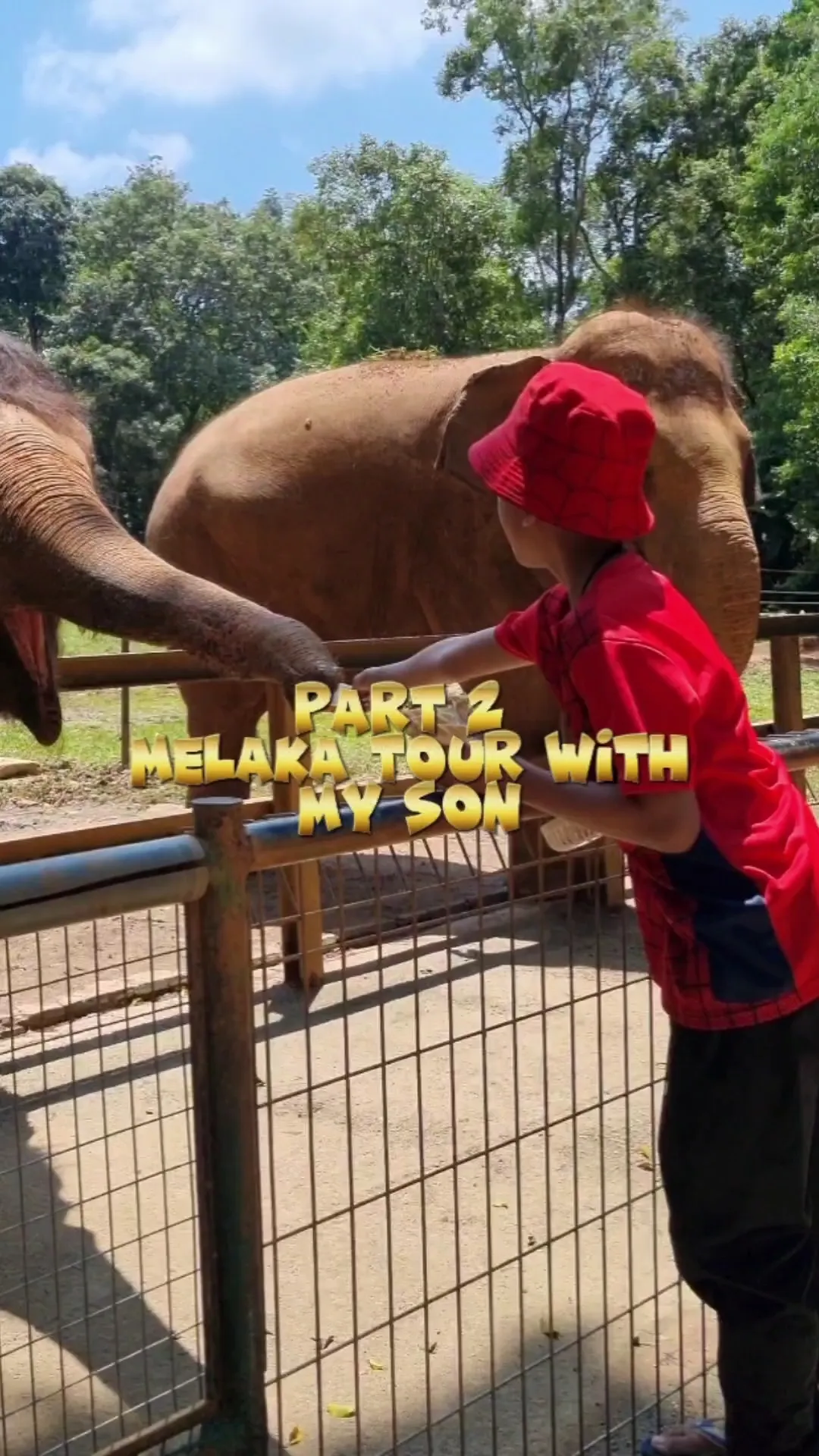 BERCUTI DENGAN BAJET BAWAH 1K | Video diterbitkan oleh Mira Wulan | Lemon8