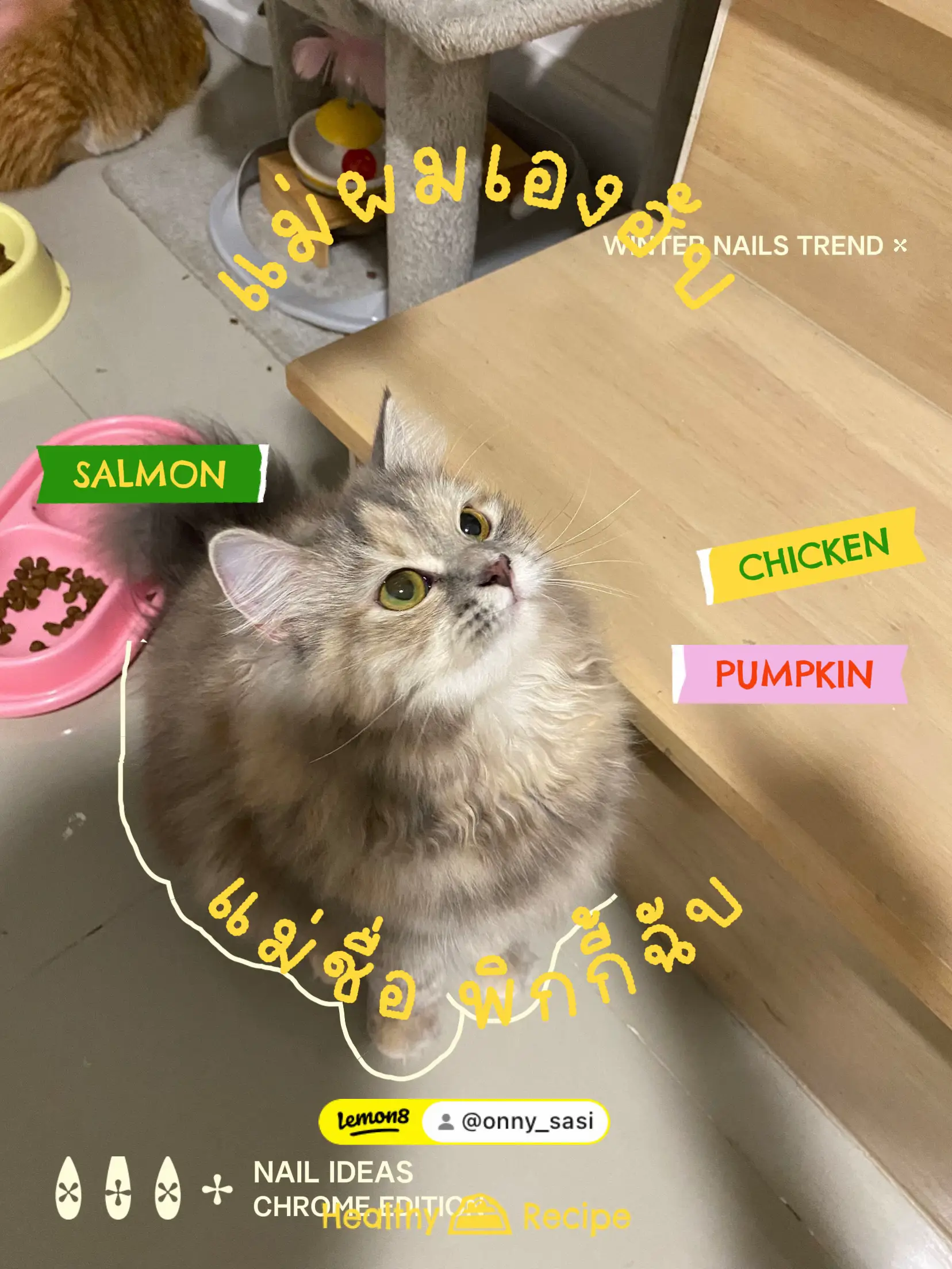 เมื่อมีหลานๆเพิ่มมาในบ้าน ep.1 | แกลเลอรีที่โพสต์โดย น้องอุ๋งอุ๋ง | Lemon8