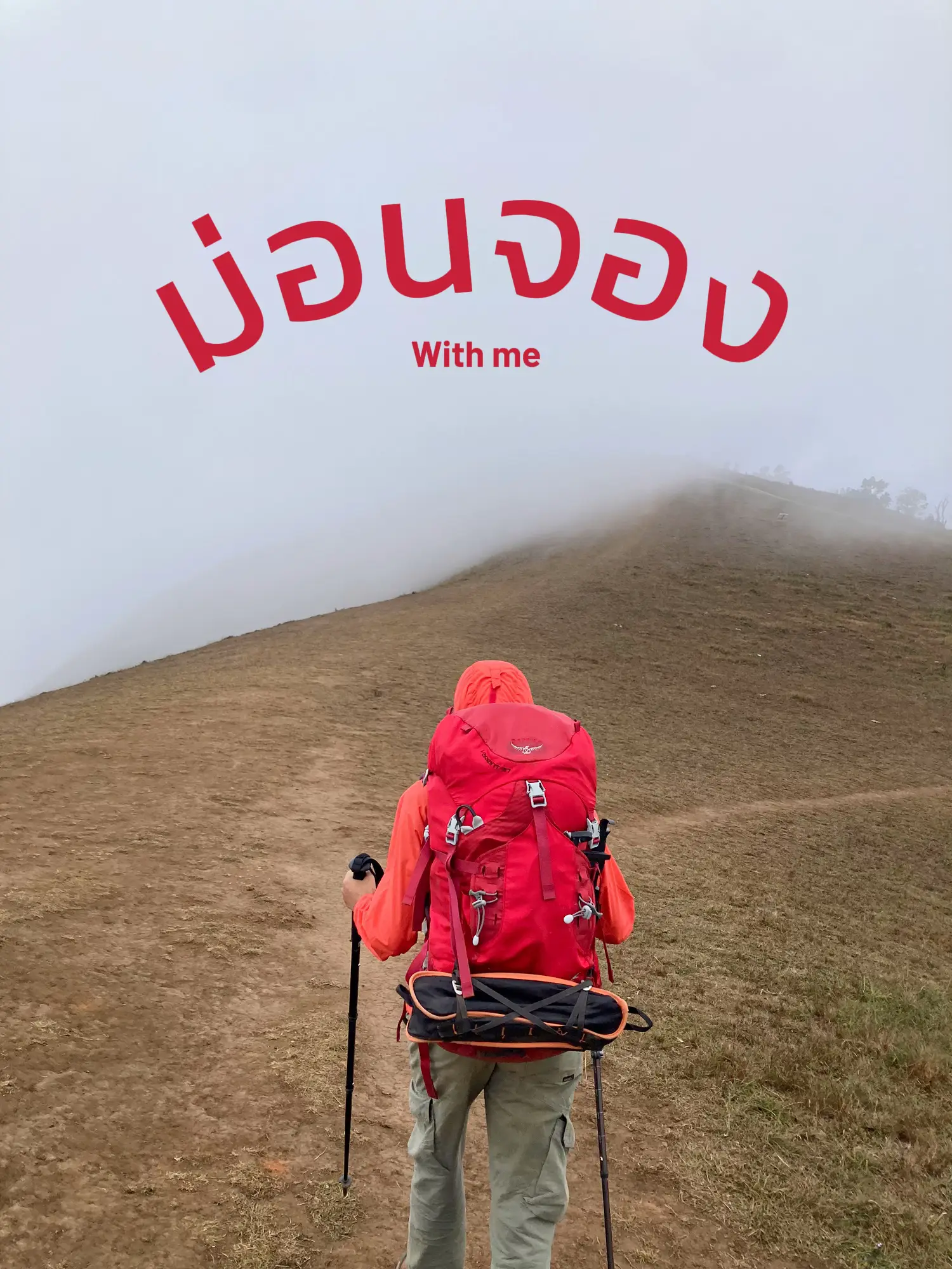 ม่อนจอง with me | แกลเลอรีที่โพสต์โดย Ratchadaporn | Lemon8