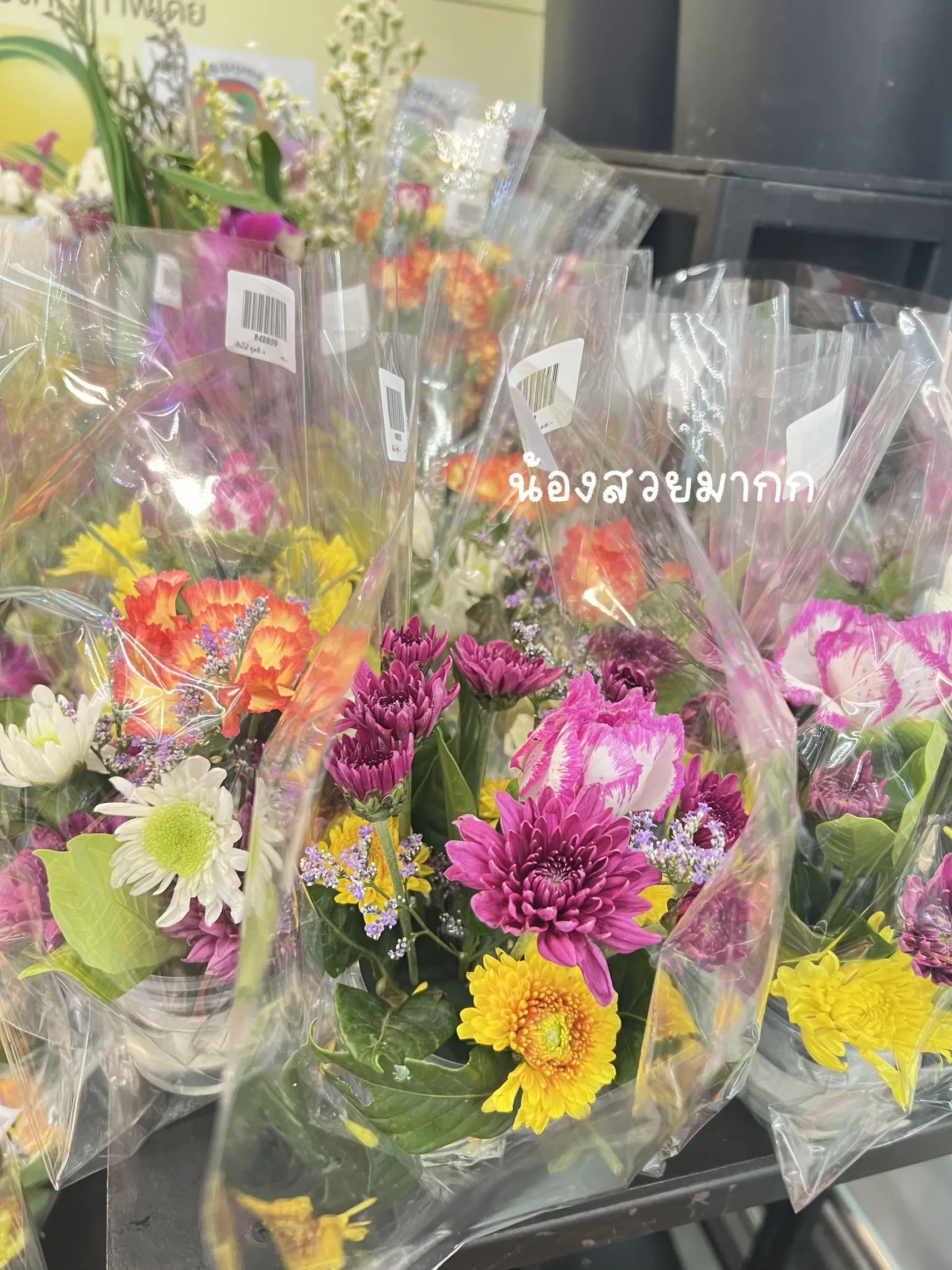 พิกัดดอกไม้ ไหว้พระในแม็คโคร | แกลเลอรีที่โพสต์โดย Noona_aaa | Lemon8