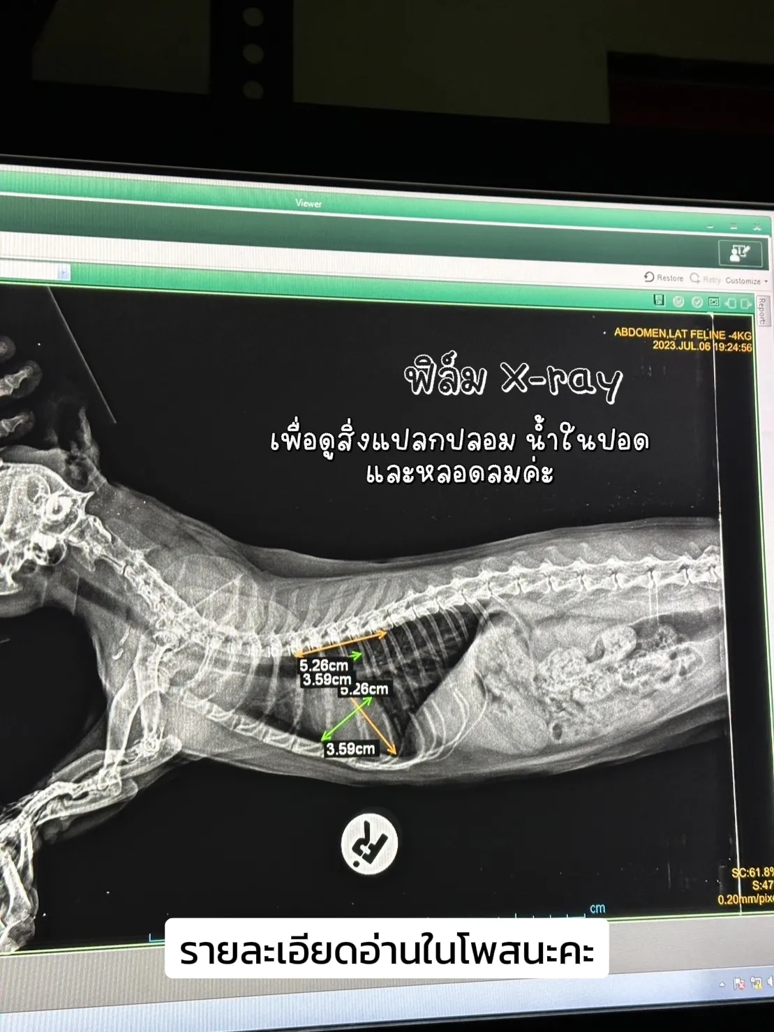 เตือนภัย!! แมวเครียดจากการอาบน้ำ อันตราย ️ | แกลเลอรีที่โพสต์โดย NTM.B | Lemon8