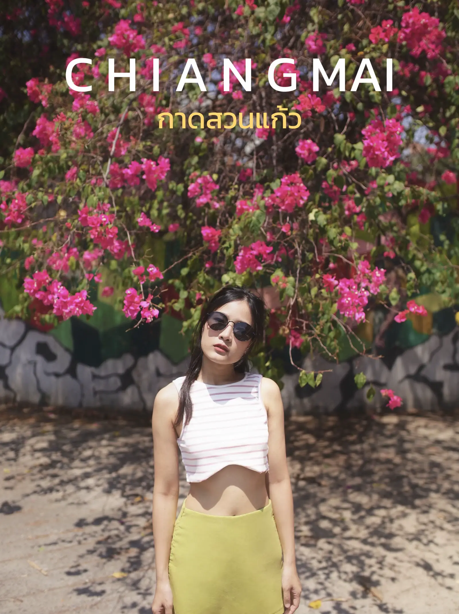 🌸CHIANGMAI มุมไม่ลับถ่ายกับดอกไม้🌸 | แกลเลอรีที่โพสต์โดย Khun.fai | Lemon8