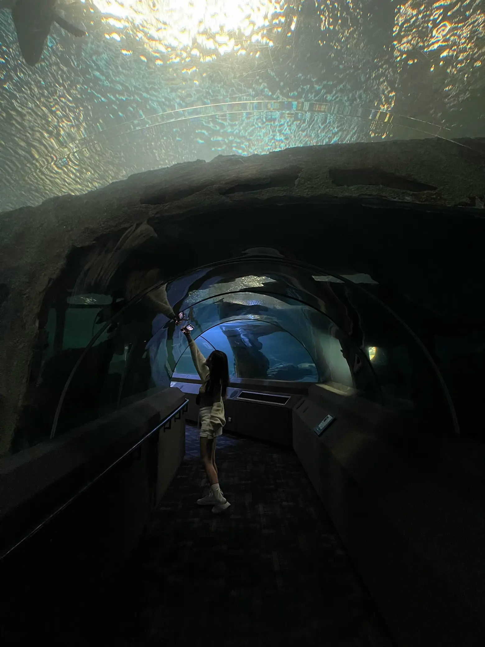 Underwater World Pattaya🪸🫧 | แกลเลอรีที่โพสต์โดย Lemonjtx | Lemon8