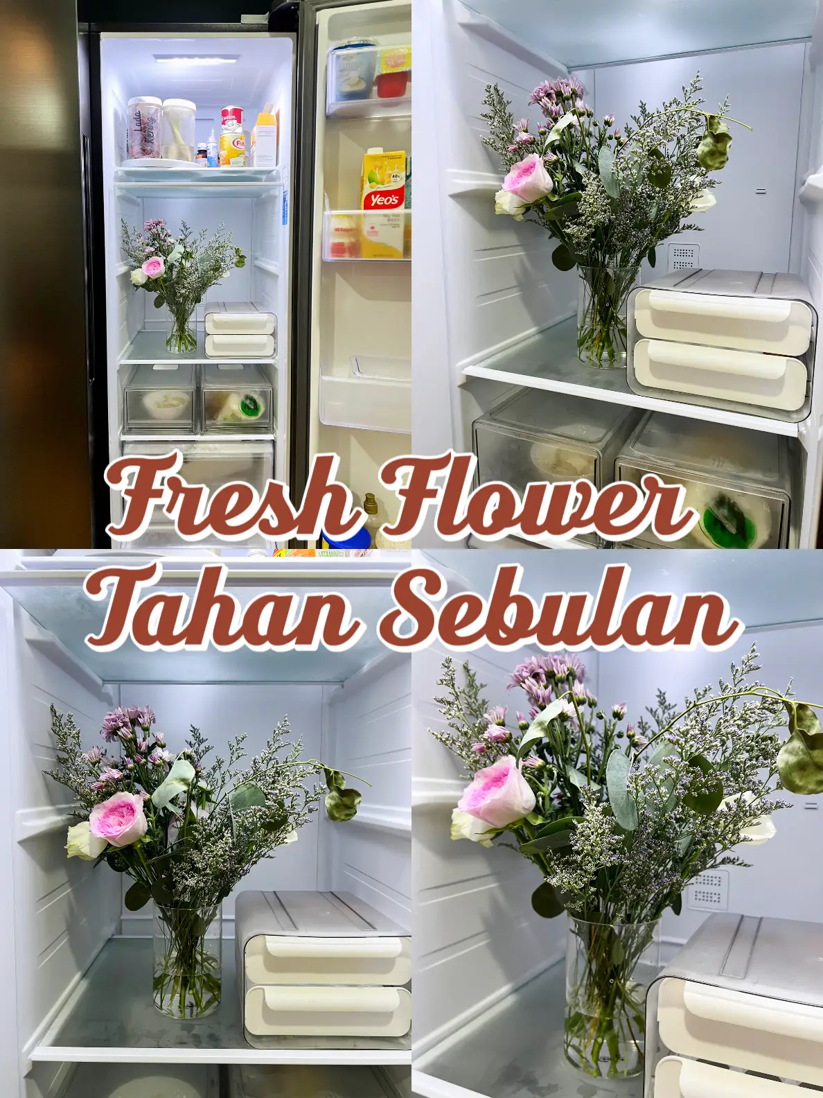Fresh Flower Tahan Sebulan🌸 | Galeri disiarkan oleh Zaynaisya.home | Lemon8