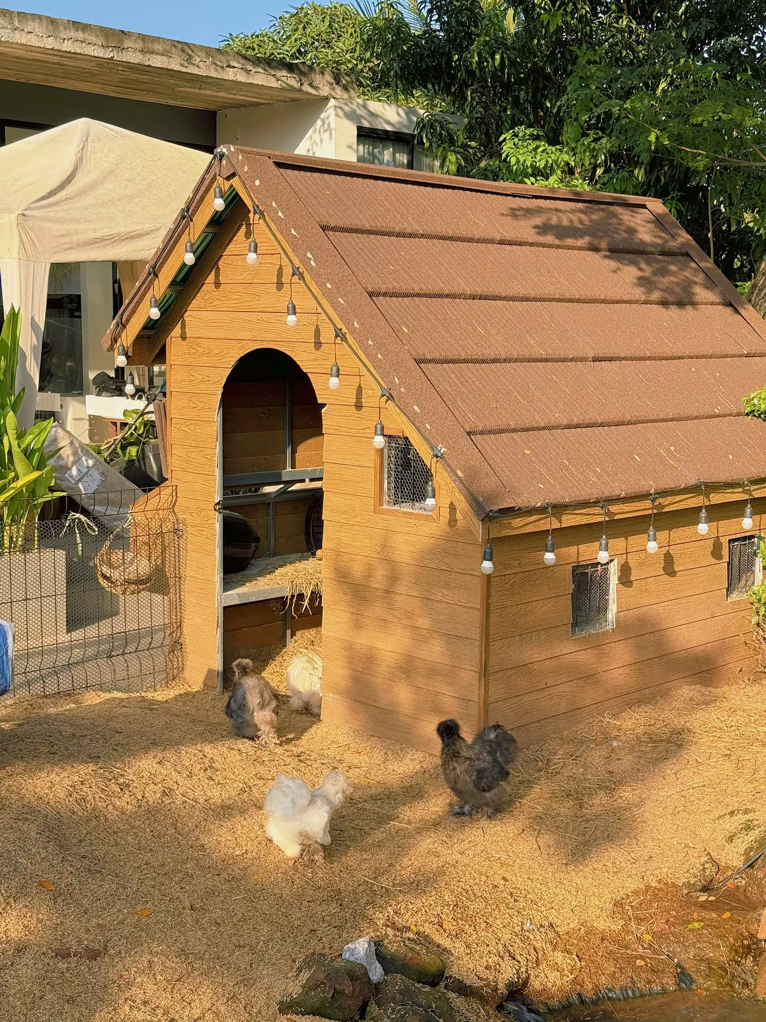 📍ที่พักสุราษฎร์ธานี 1000000/10 🥰 | แกลเลอรีที่โพสต์โดย punnaphat.tha | Lemon8