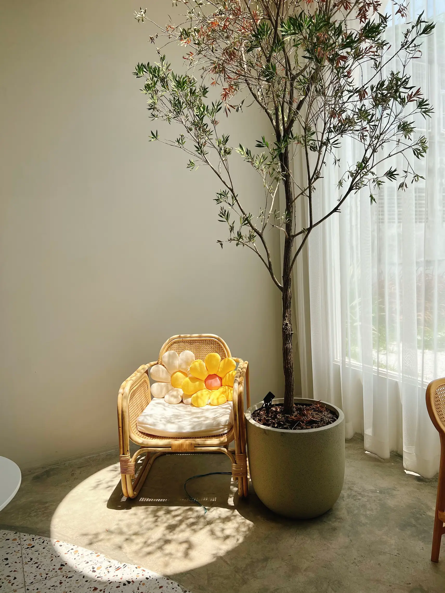 คาเฟ่ย่านบางซื่อ บรรยากาศมินิมอล กาแฟดี มุมถ่ายรูปสวย | แกลเลอรีที่โพสต์โดย KimVlog | Lemon8