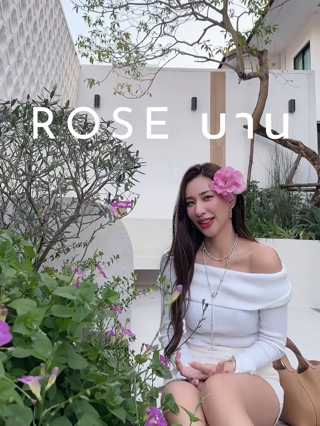 ดอกกุหลาบที่บ้านบาน เราจะไม่ถ่ายรูปลงเฉยๆ ถ่ายคลิปเลยละกัน🌸💕 | วิดีโอที่เผยแพร่โดย M2 model | Lemon8