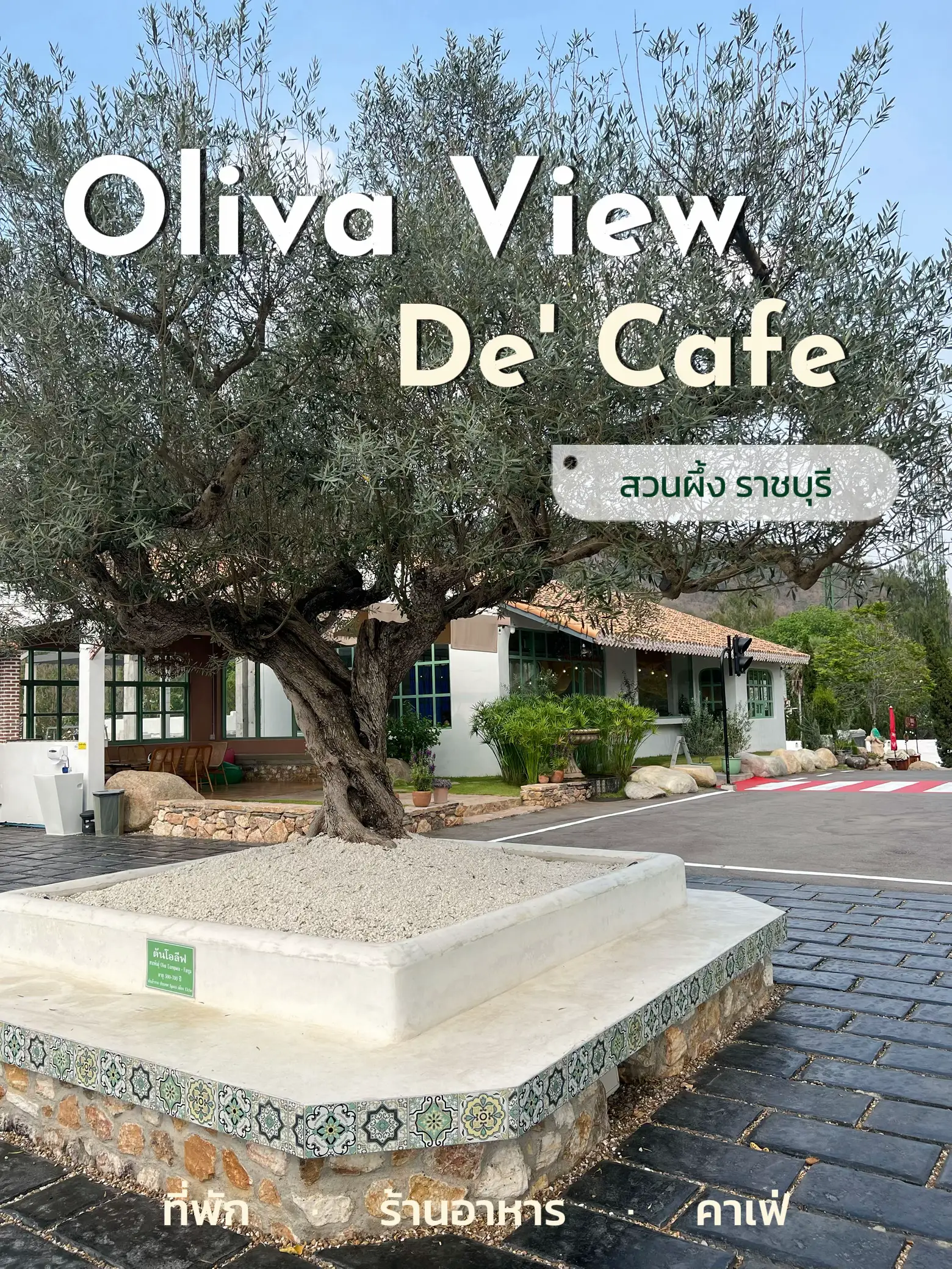 ร้านอาหารในสวนผึ้ง Oliva | 2025 ประสบการณ์ผู้ใช้จริงบน Lemon8