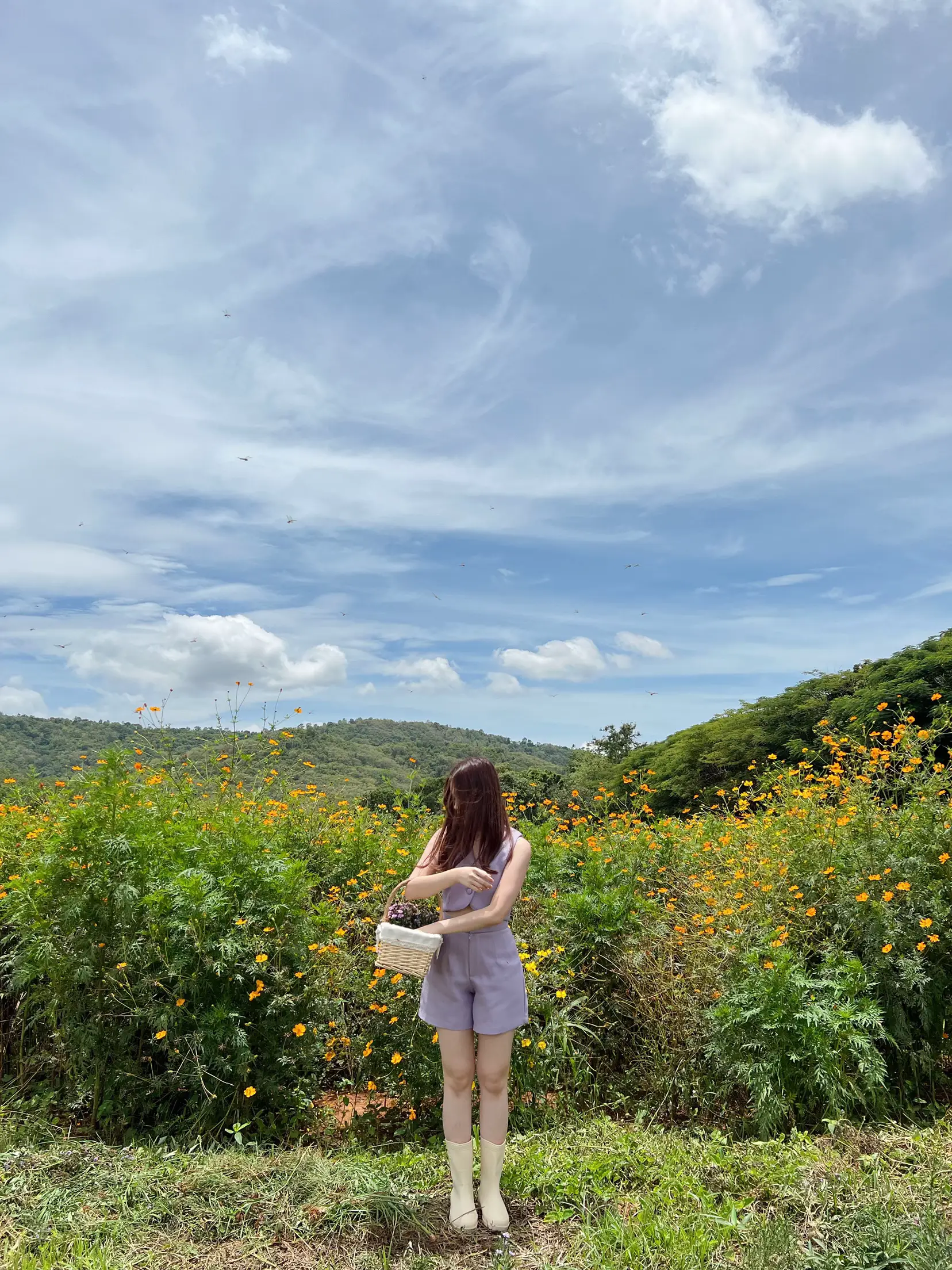 Blossom bloom🌼| คาเฟ่สวนดอกไม้สุดคิ้วฟีลเกาหลี น่ารักไม่ไหว💖 | แกลเลอรีที่โพสต์โดย 「 JAYJUN ...