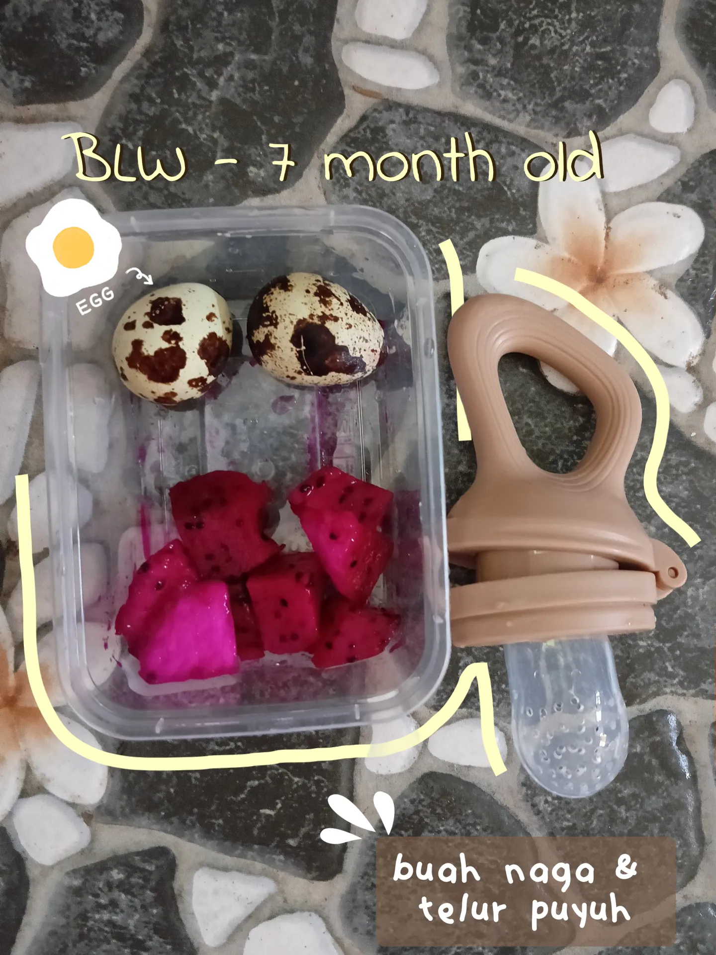 BLW - 7 month old | Galeri diposting oleh Vina Why | Lemon8
