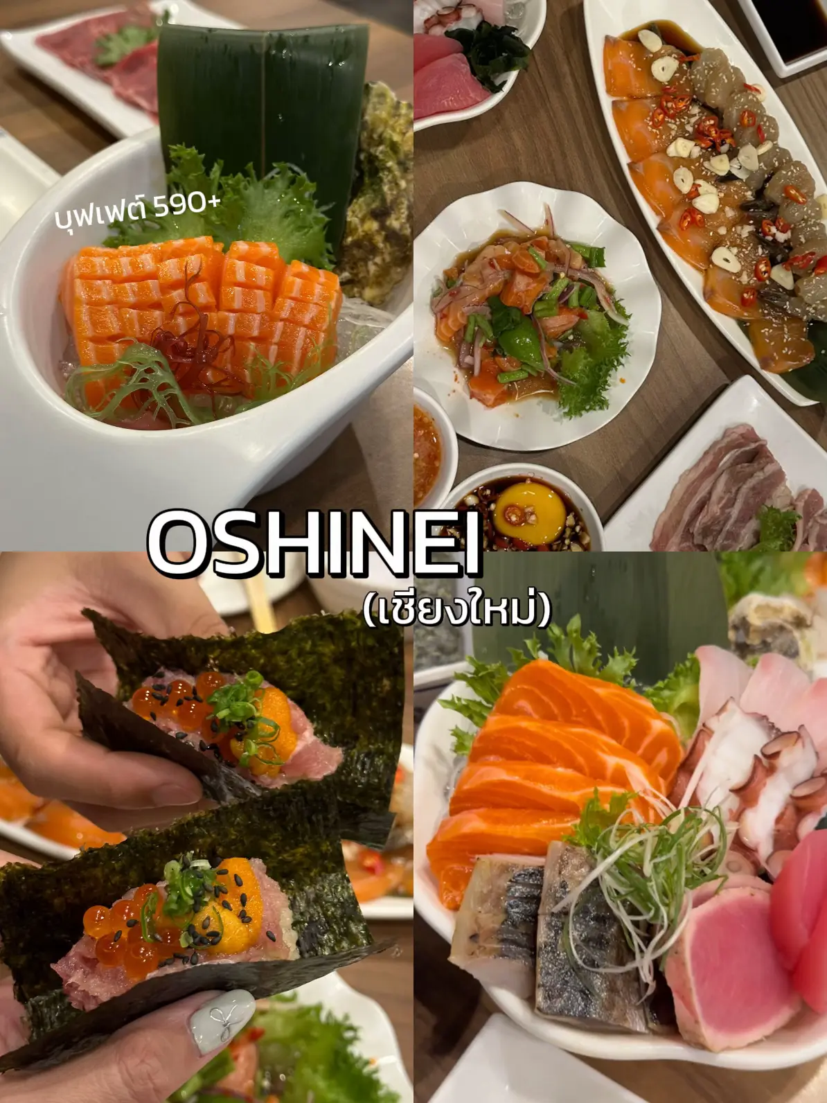 บุฟเฟต์ข้าวต้มเชียงใหม่ - การค้นหาใน Lemon8