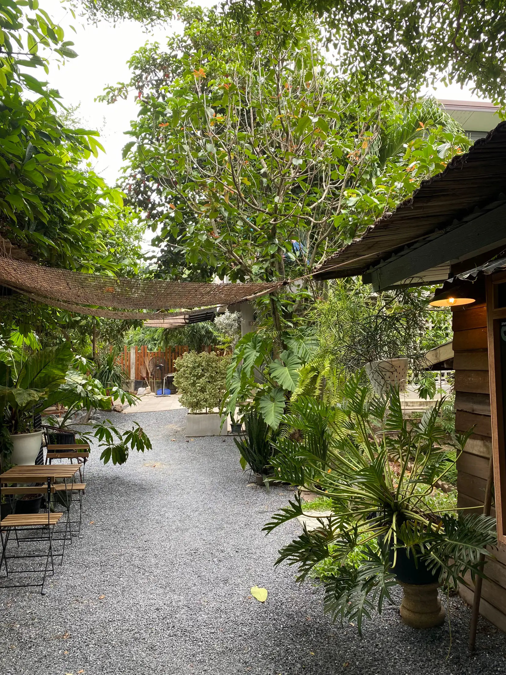 คาเฟ่นนทบุรี ร้านรำไร | แกลเลอรีที่โพสต์โดย Ramida.Diary | Lemon8