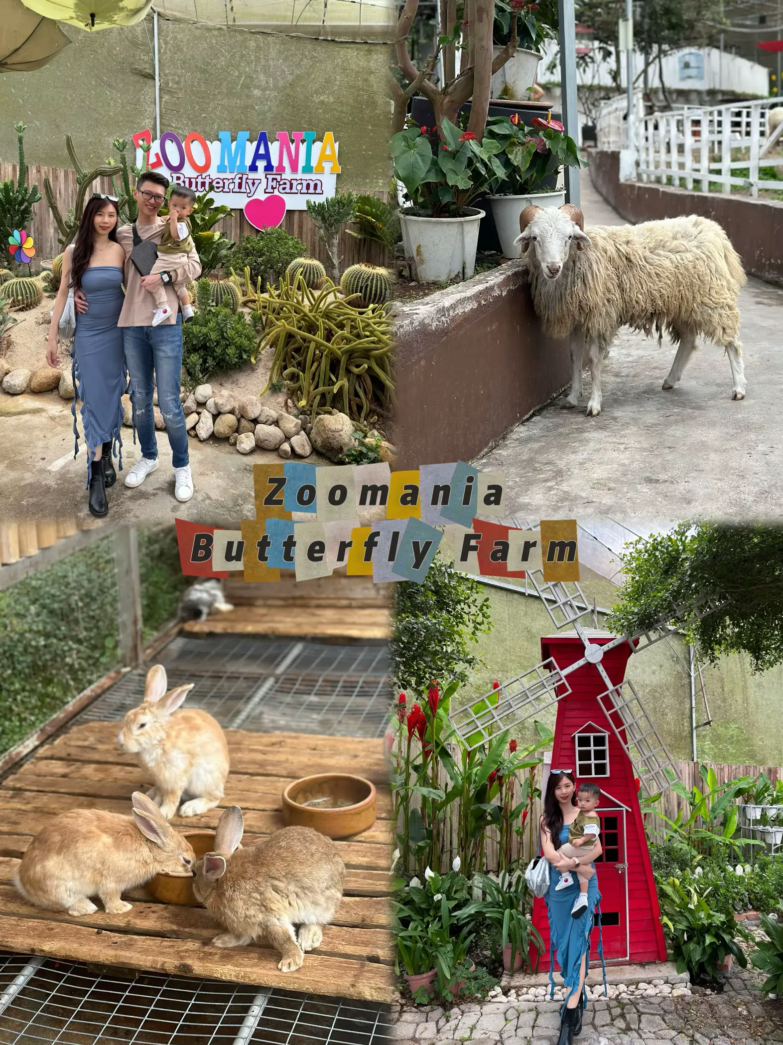 Zoomania & Butterfly Farm Cameron | Gallery posted by Evelynn Low | Lemon8