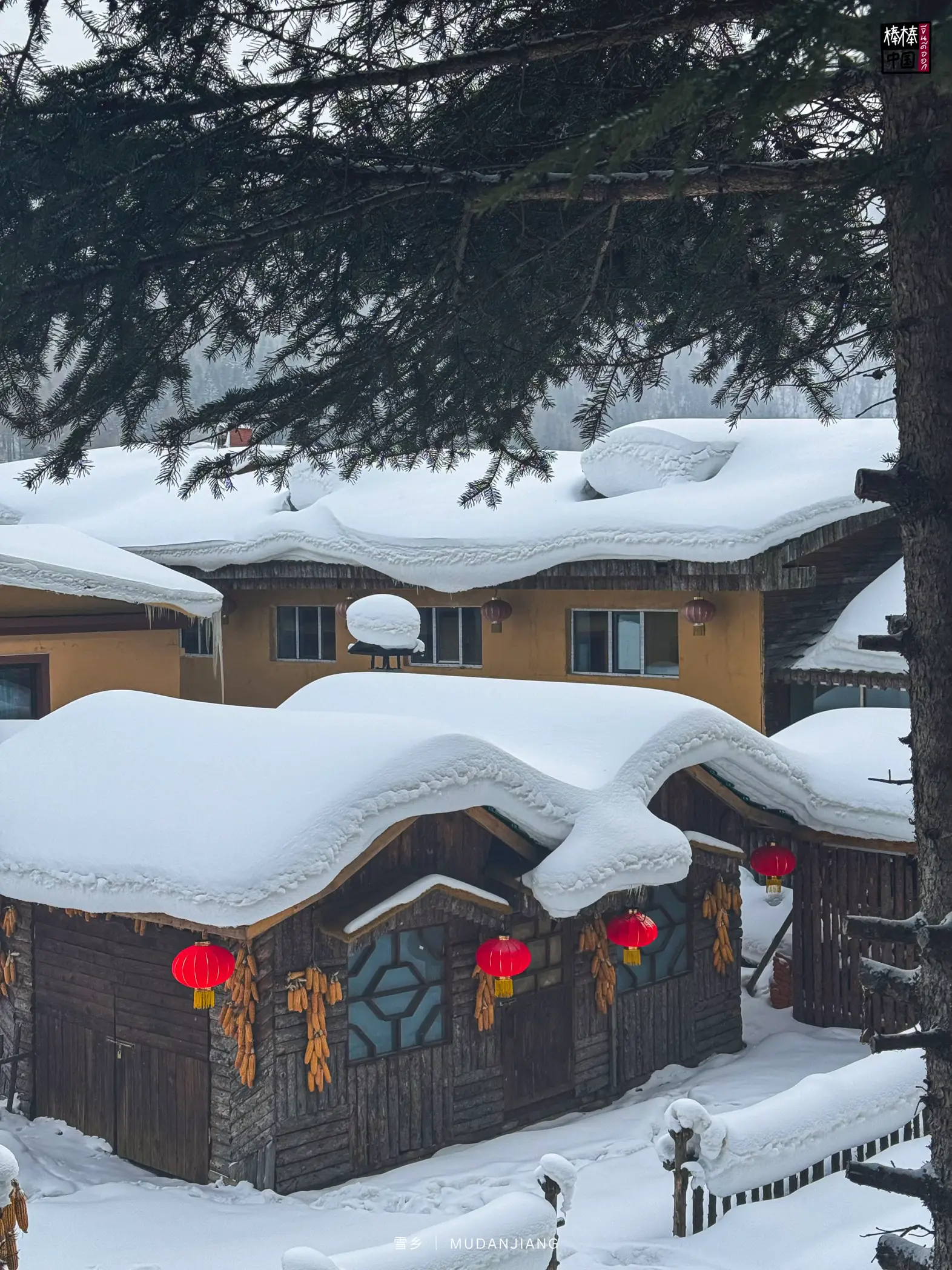 ☃️ China Snow Town (雪乡) | แกลเลอรีที่โพสต์โดย จีนดีออก | Lemon8