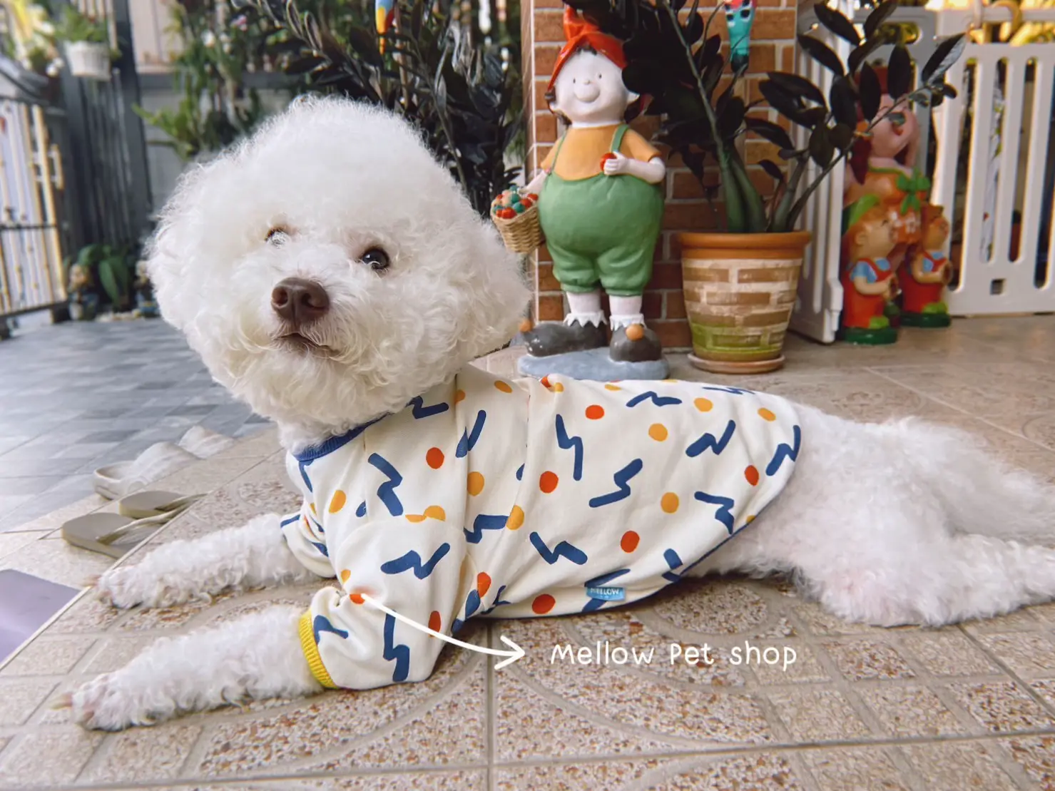 Mellow Pet Shop 🐶 (ชุดนอนต้องได้นอน) | แกลเลอรีที่โพสต์โดย Shabu.family ...