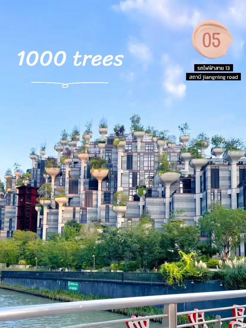 เซี่ยงไฮ้ ถ่ายรูปสวย บรรยากาศดี | แกลเลอรีที่โพสต์โดย Kaewdd | Lemon8