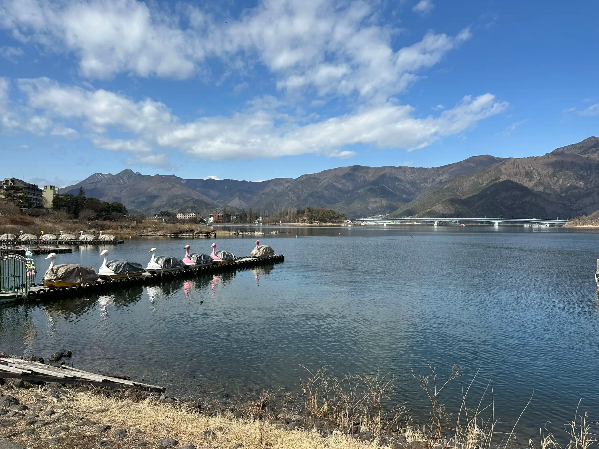 Fuji/ kawaguchiko lake | แกลเลอรีที่โพสต์โดย NTp | Lemon8