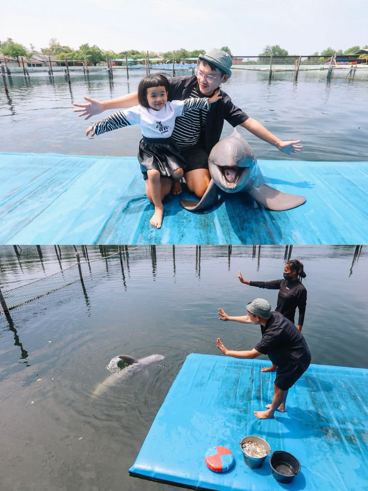🐳ถ่ายรูปกับโลมาดูโชว์ของแสนรู้ Oasis Sea World จันทบุรี🩵🦋 | แกลเลอรีที่ ...