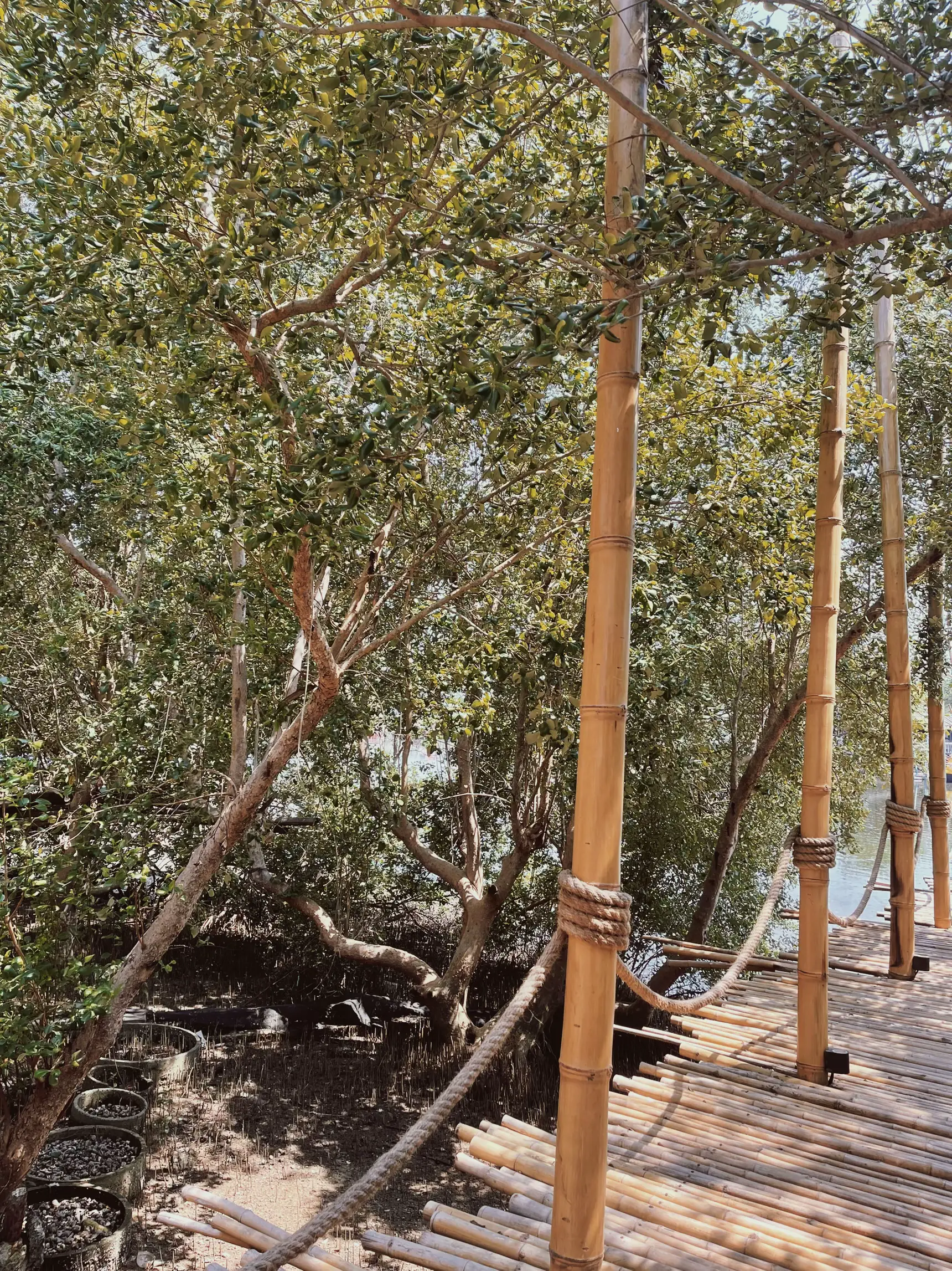 TAAB Cafe’ คาเฟ่อ่างศิลา | แกลเลอรีที่โพสต์โดย Miew | Lemon8