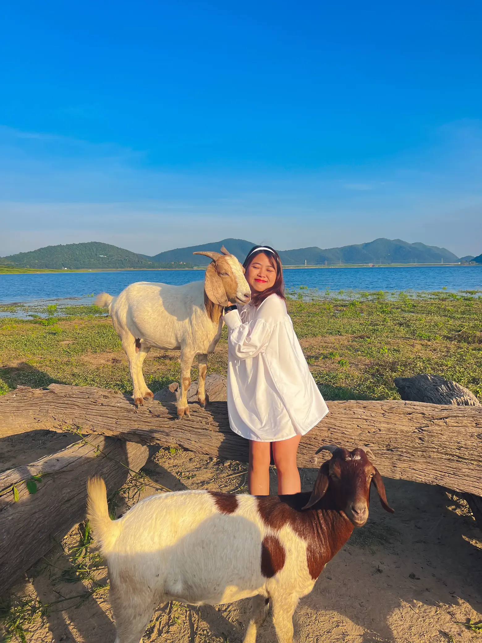 ถ่ายรูปกับน้องแพะที่เขื่อนปราณบุรี | แกลเลอรีที่โพสต์โดย Reerun_WS | Lemon8