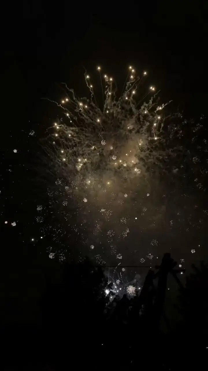 Happy New Year 2024 | วิดีโอที่เผยแพร่โดย 𝕄𝕐𝕡𝕒𝕟𝕘🐒 | Lemon8