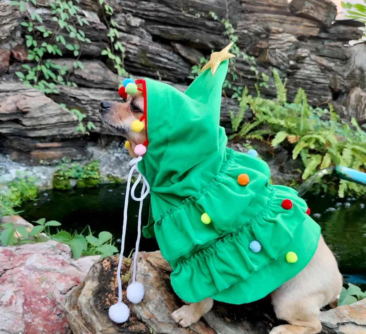 🎄ป้ายยา ผ้าคลุมลายต้นคริสต์มาสน้องหมา | แกลเลอรีที่โพสต์โดย khuncha ...