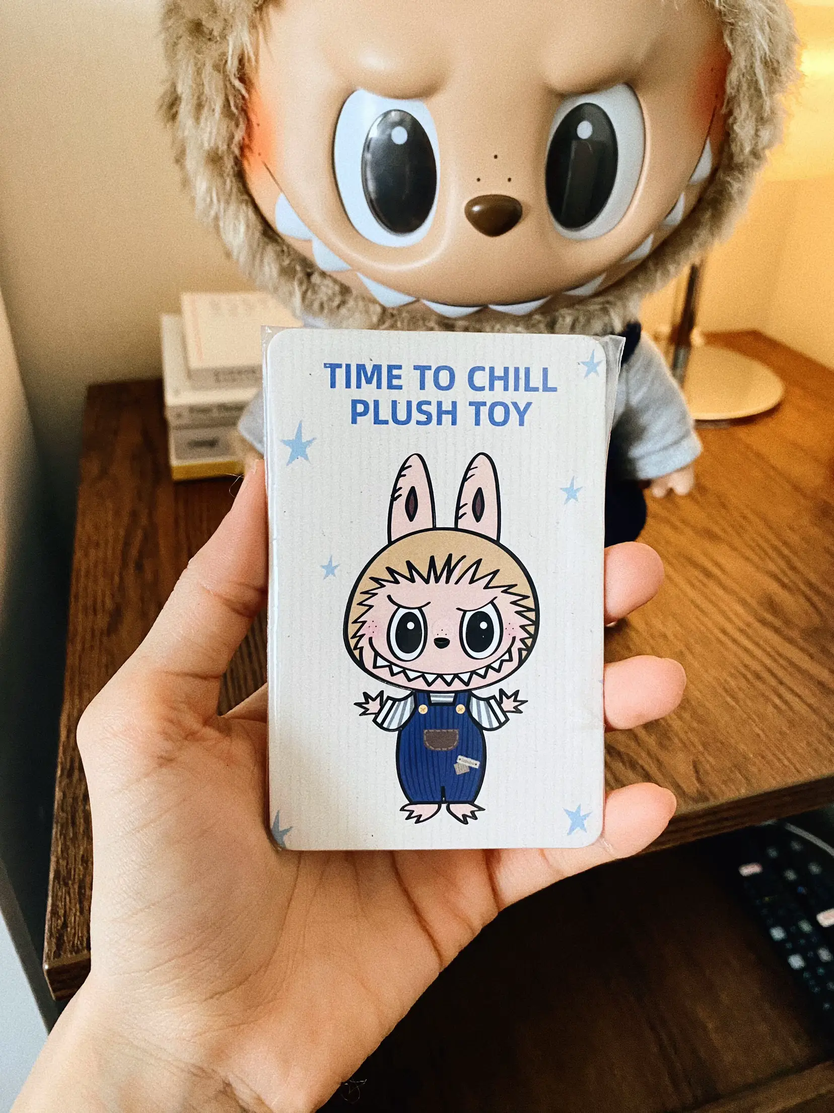 LABUBU : TIME TO CHILL | Gallery posted by yonladee lue. | Lemon8