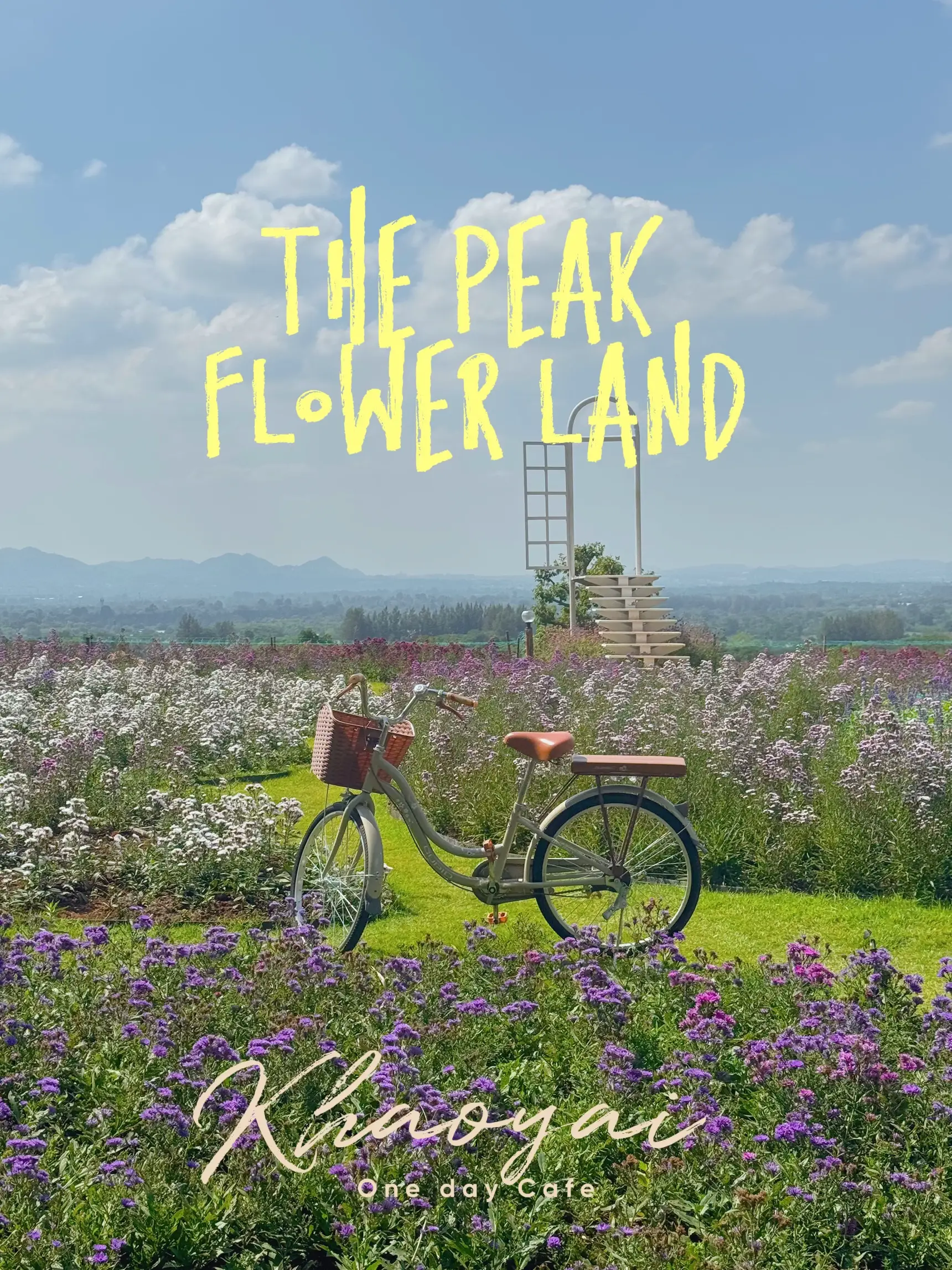 คาเฟ่ดอกไม้อลังการ 🌻🪻🌤️🌷🌸The Peak Flower Land | แกลเลอรีที่โพสต์โดย ...