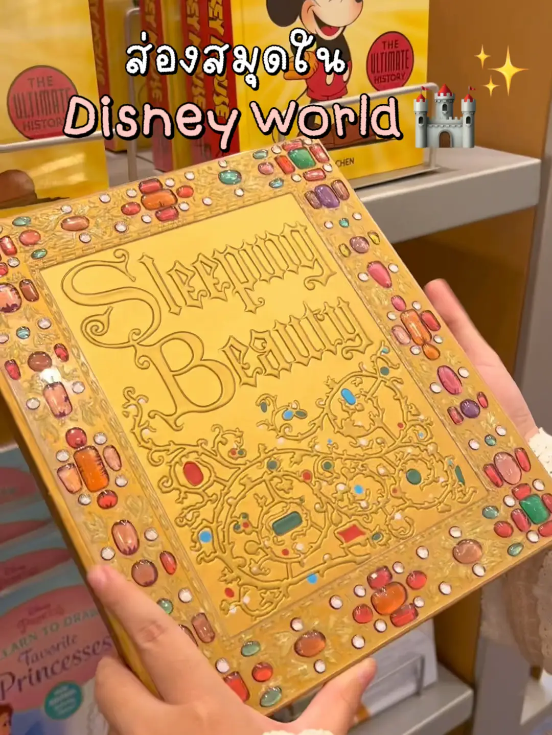 A notebook in Disney World. 🏰 | Video published by Mimi’s Plan | Lemon8