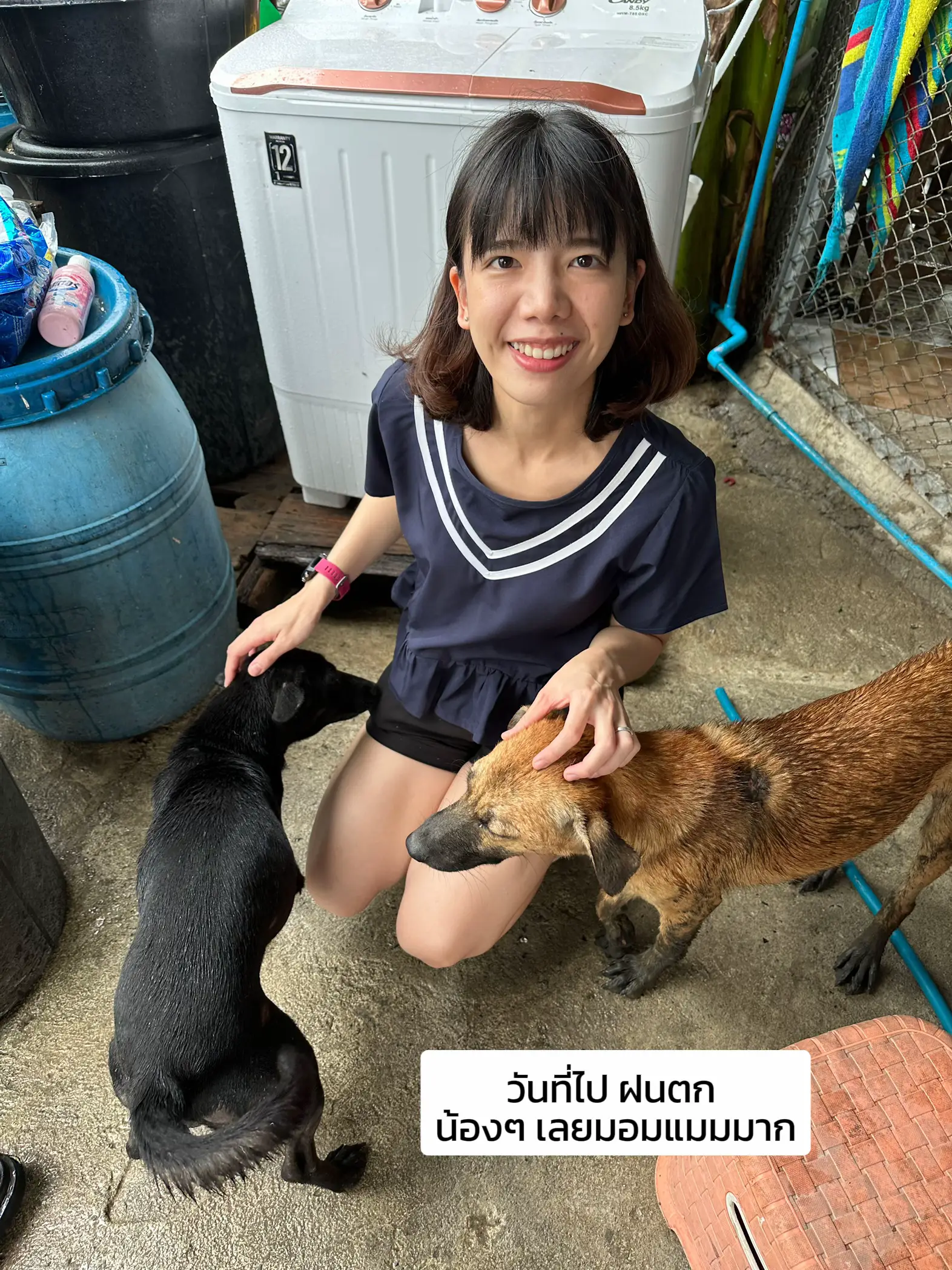 ไปเยี่ยมน้องหมาจรกัน🐶🐶ep 2 | แกลเลอรีที่โพสต์โดย Kiwi | Lemon8