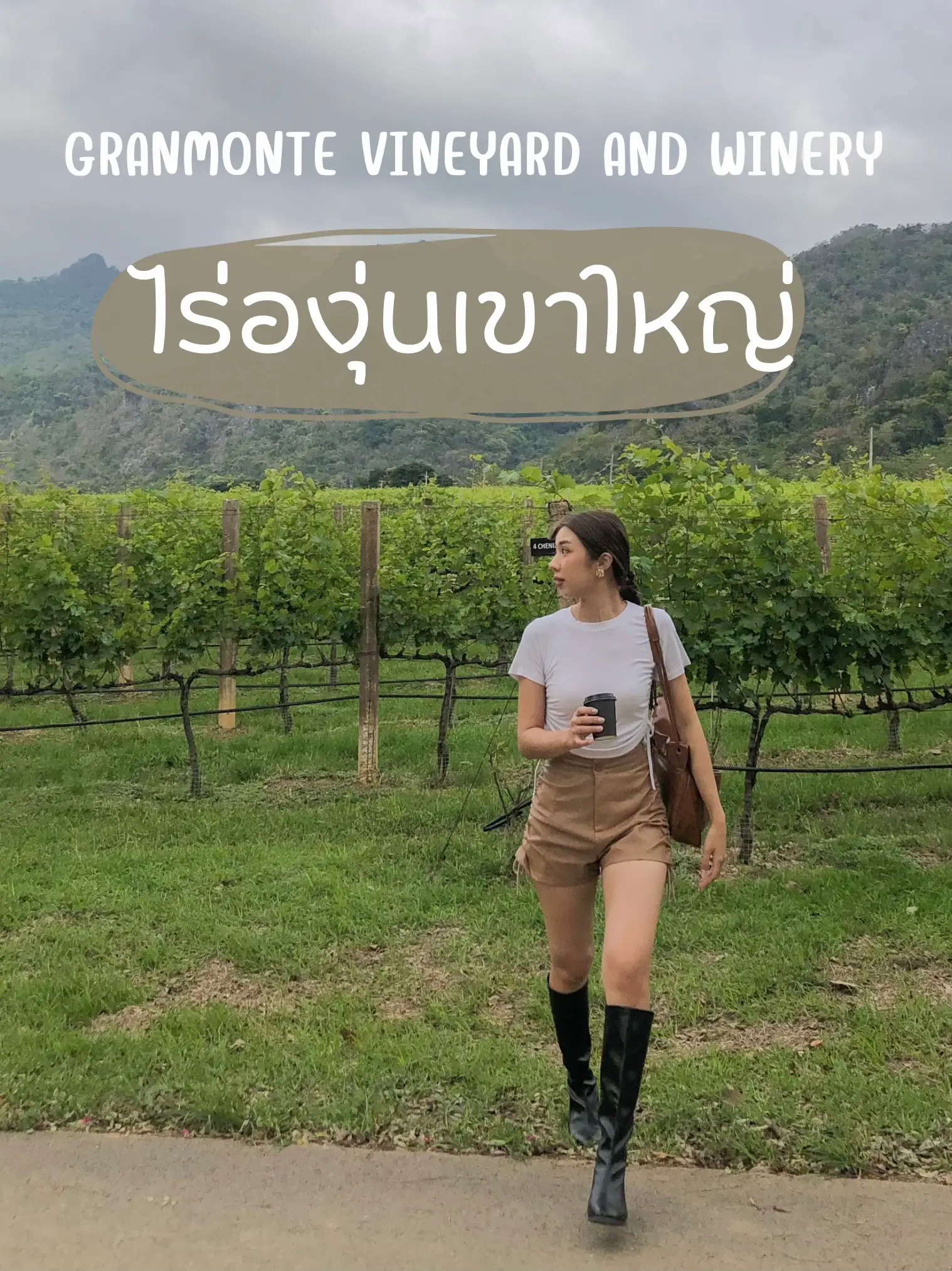🍇 GranMonte Vineyard and Winery | แกลเลอรีที่โพสต์โดย Oilsutika | Lemon8