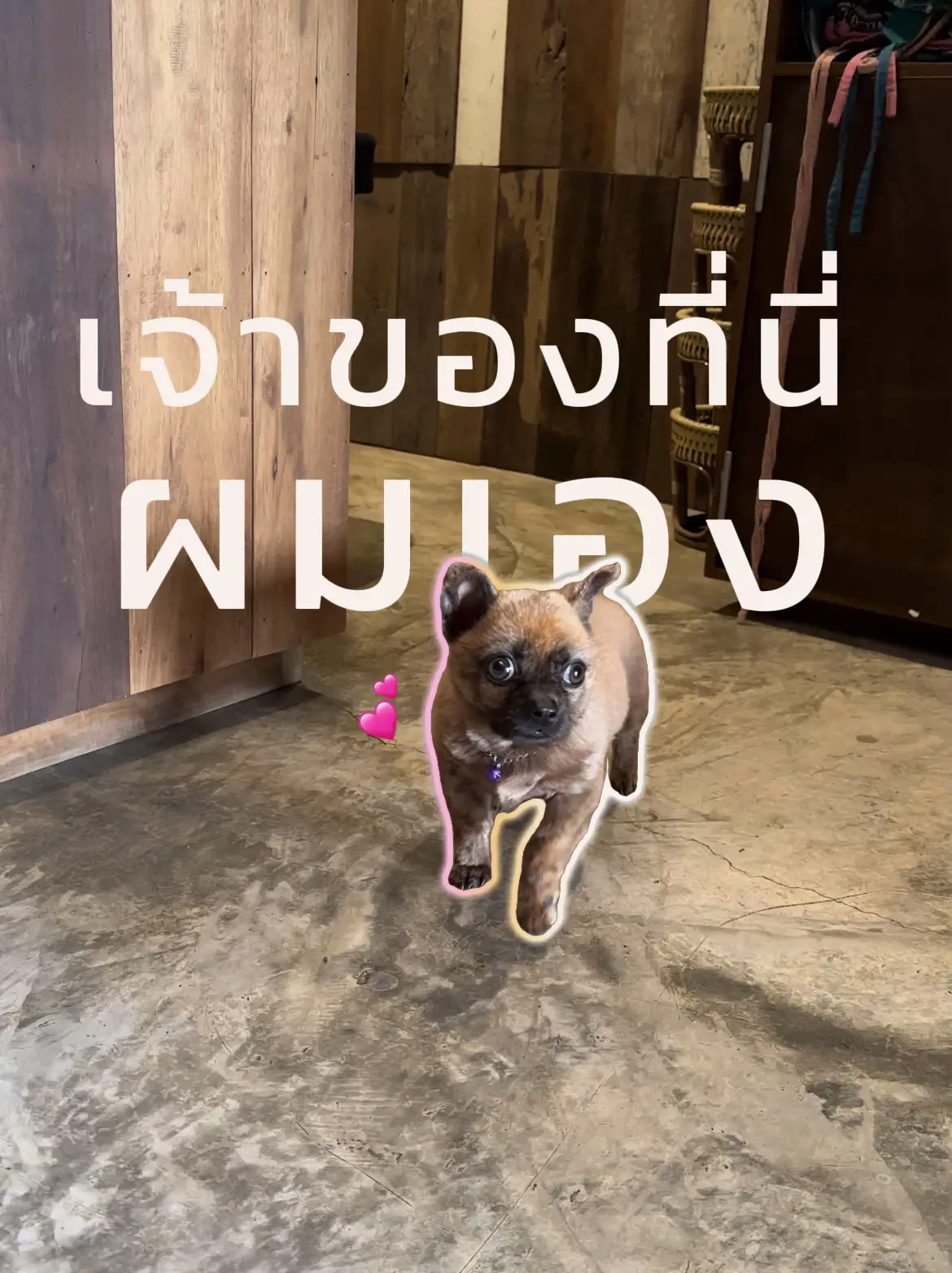 ที่พักเชียงคานติดริมแม่น้ำโขง | แกลเลอรีที่โพสต์โดย Ray Merrimen | Lemon8