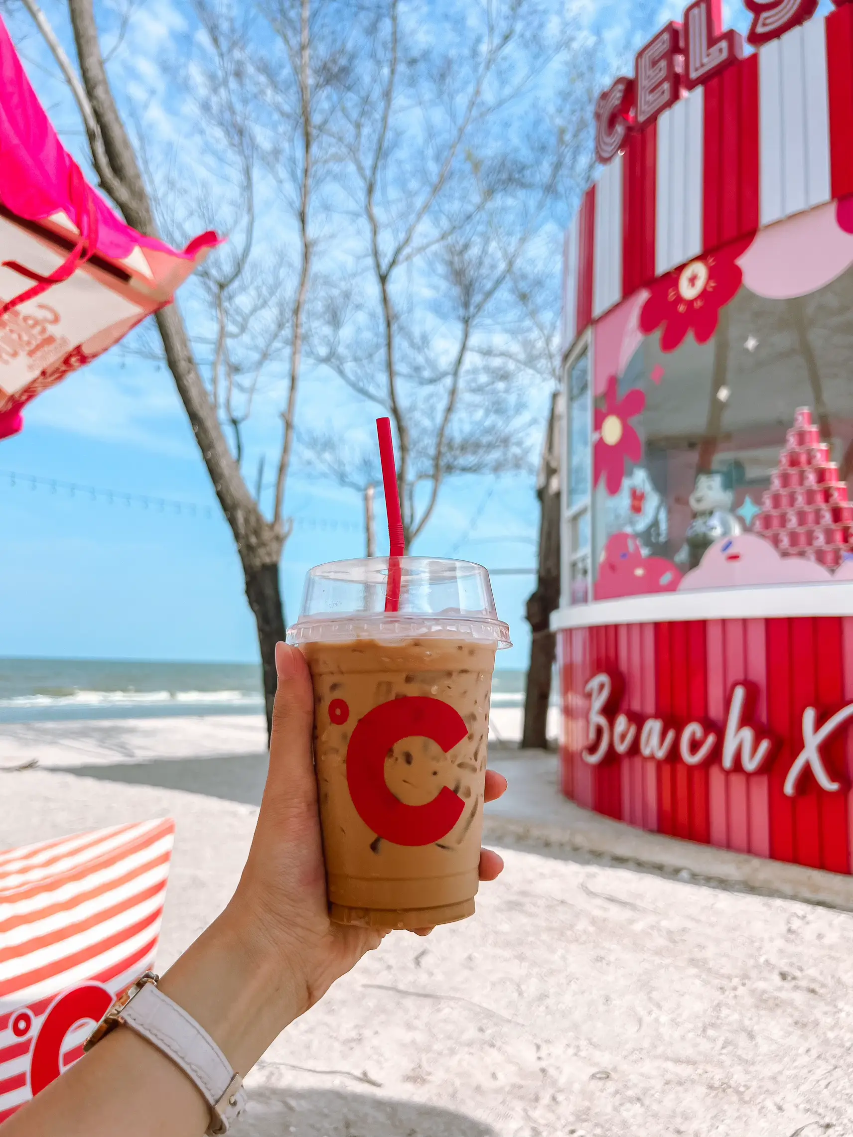 𝘊𝘦𝘭𝘴𝘪𝘶𝘴 𝘣𝘦𝘢𝘤𝘩 𝘹 𝘤𝘢𝘧𝘦 คาเฟ่ติดทะเล ชะอำ 𓐇 🏖️🍒 ️ 𓐄 | แกลเลอรีที่โพสต์โดย ...