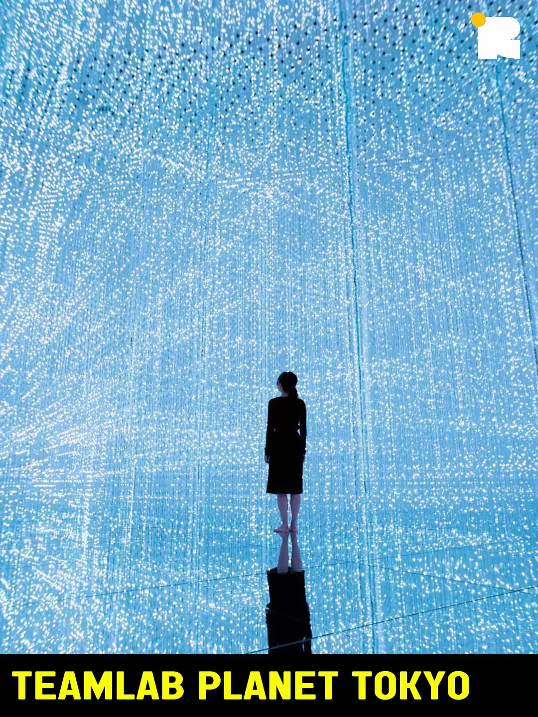 ออกไปเยี่ยม 9 งานสุดล้ำจาก teamLab ที่จัดแสดงอยู่ตอนนี้กัน! | แกลเลอรีที่โพสต์โดย Routeen. | Lemon8