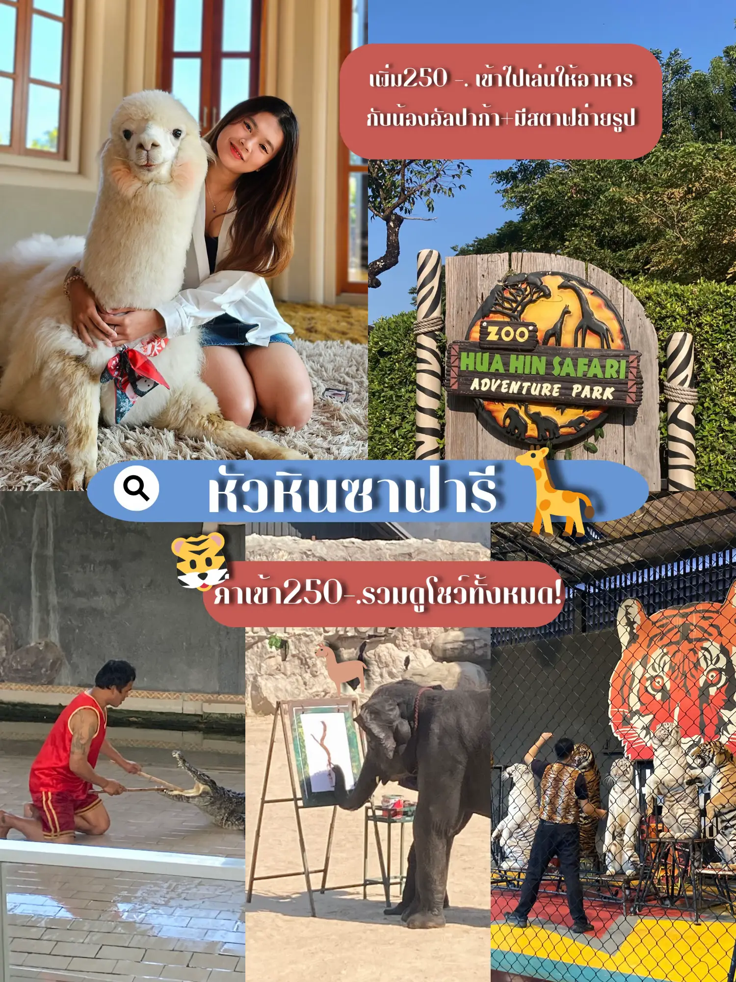 รวม7กิจกรรมกิน-เที่ยว-ถ่ายรูป | huahin🐚🌊 | แกลเลอรีที่โพสต์โดย bkmn.n | Lemon8