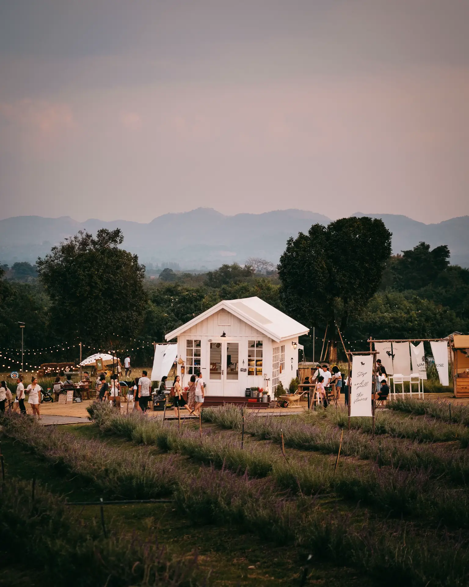 After You Farm House 🌽🐏 Pop-up Store ใน Midwinter | แกลเลอรีที่โพสต์โดย ...