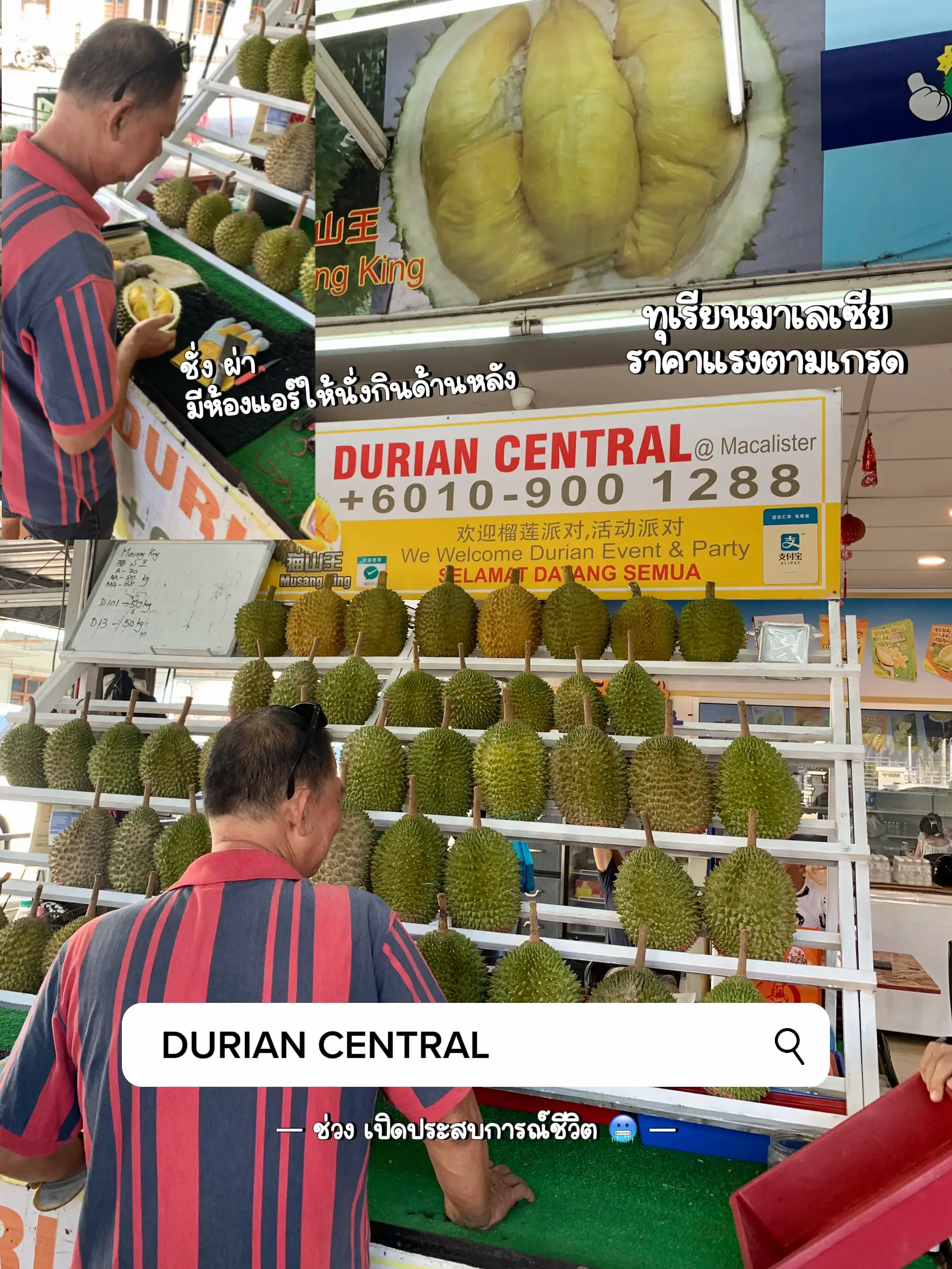 ชี้เป้าร้านอร่อย ปีนัง 🇲🇾 EP.2 (feat. ทุเรียน Musang King) 😵 | แกลเลอรีที่โพสต์โดย effe enne 🥨 ...