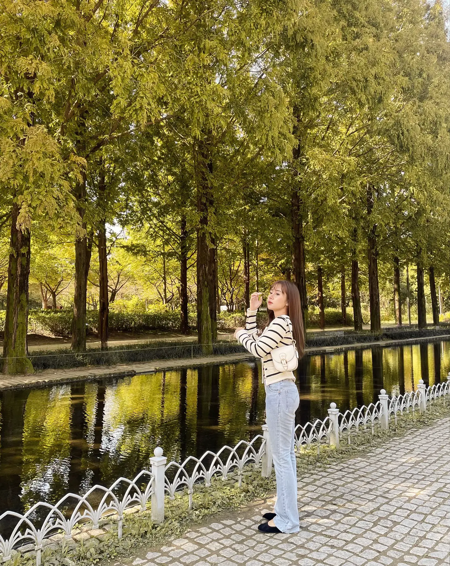 Autumn in Seoul Forest Park🌙 | แกลเลอรีที่โพสต์โดย Stockhome | Lemon8