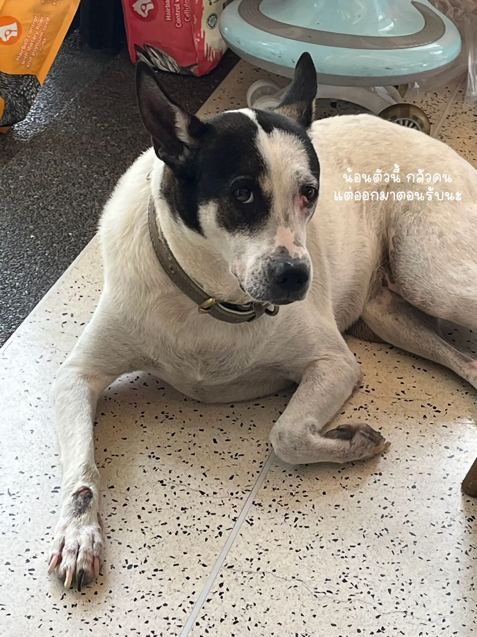 หนีไปนอนนอกบ้าน 1 คืน > ที่ ศิริ รีโซเทล🏠 | แกลเลอรีที่โพสต์โดย kxjdr ...