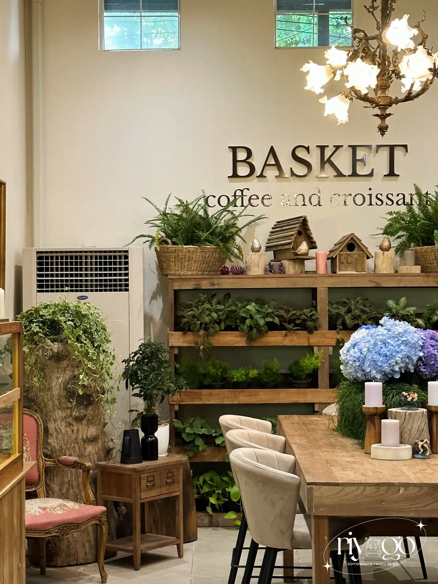 รีวิวคาเฟ่สไตล์อังกฤษลับๆ ย่านคลองสามวา | แกลเลอรีที่โพสต์โดย NUT.PARI | Lemon8