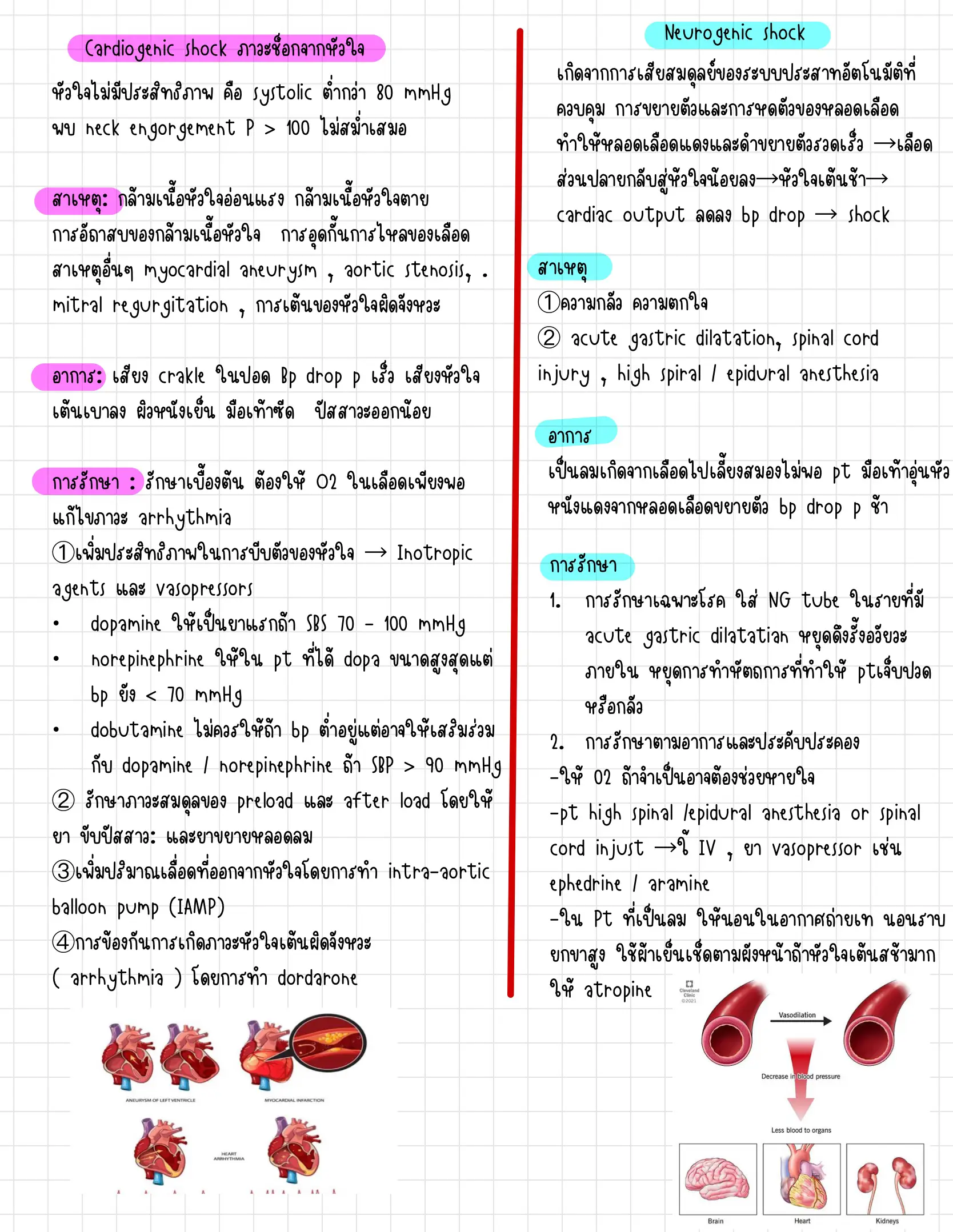 ลดบวม Proctase-P คือ ยา แก้ อะไร - การค้นหาใน Lemon8